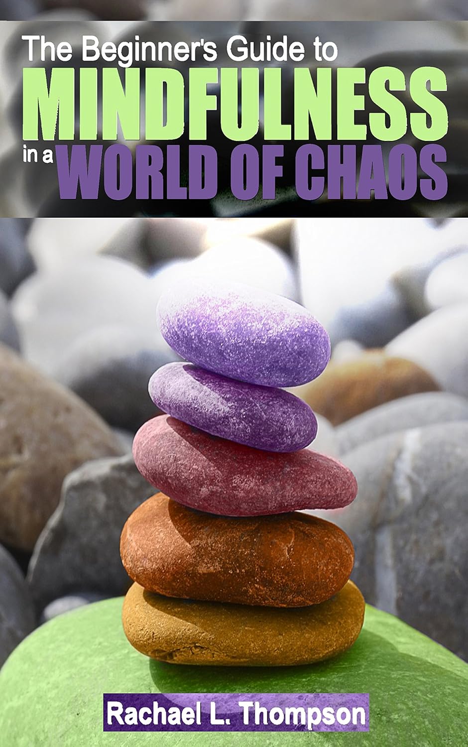 Mindfulness: Beginner’s Guide to Mindfulness in a World of Chaos ...