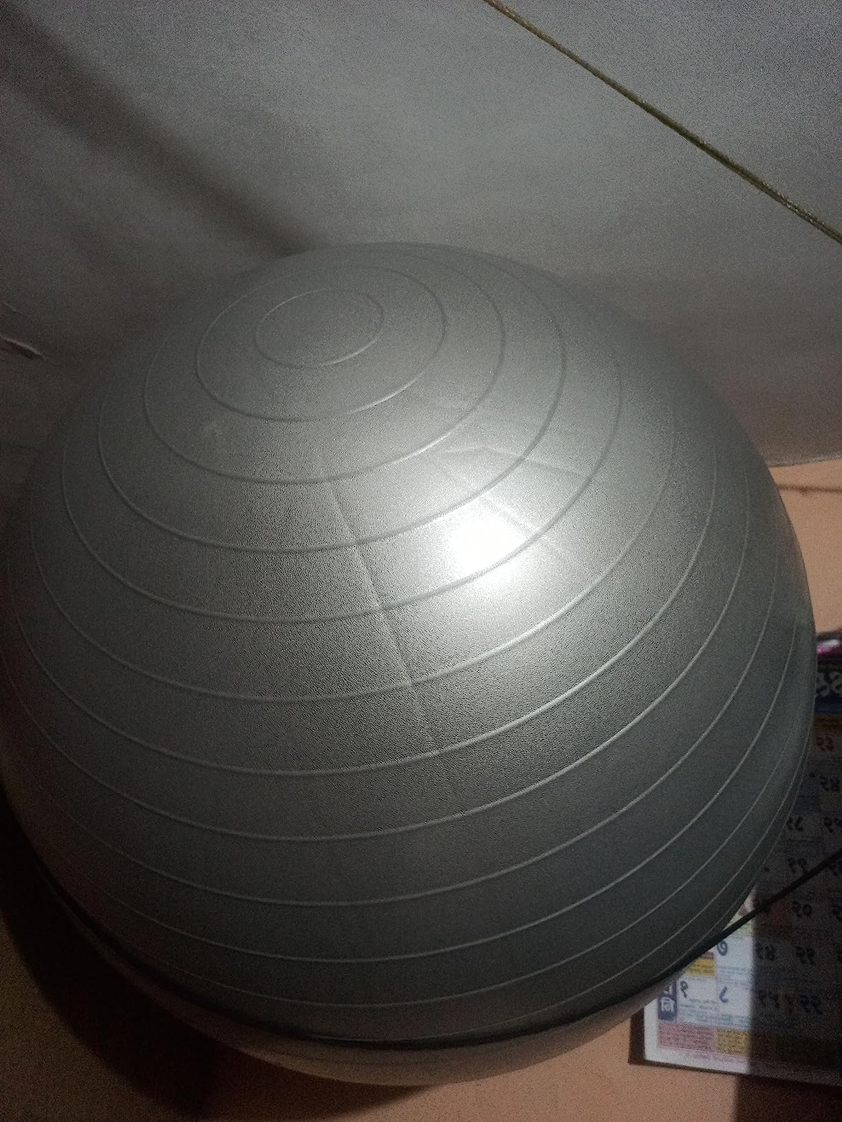 Aegon Gym Ball for Exercise | Anti-Burst Swiss Yoga Exercise Ball for ...