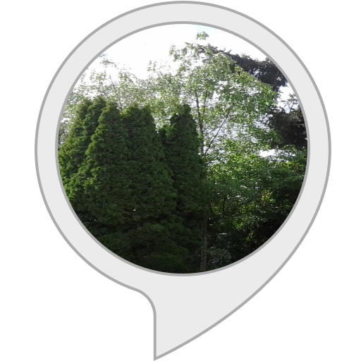 Amazon.in: PlantFacts : Alexa Skills