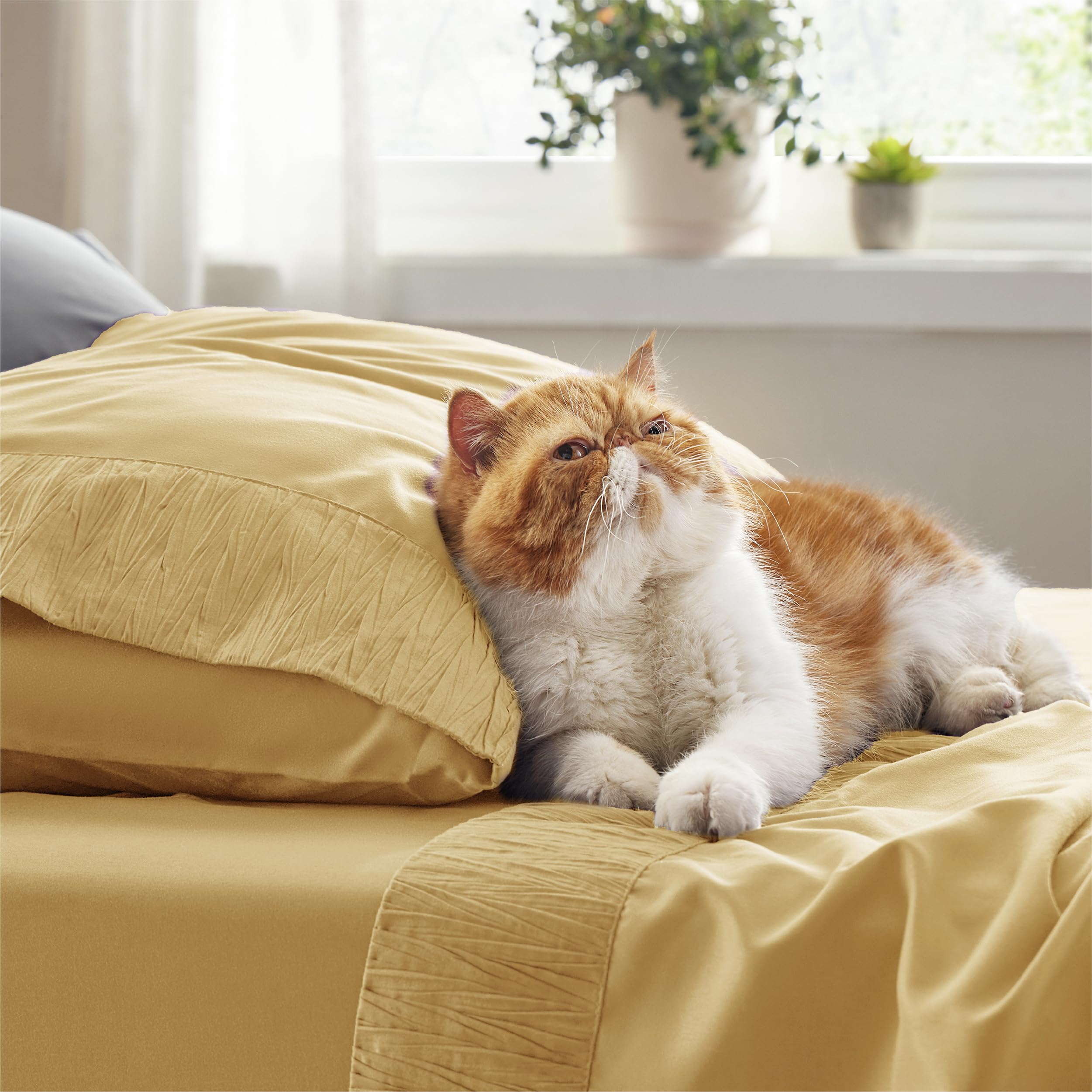 Snapklik.com : Bedsure Twin XL Sheets Dorm Bedding - Soft Extra Long ...
