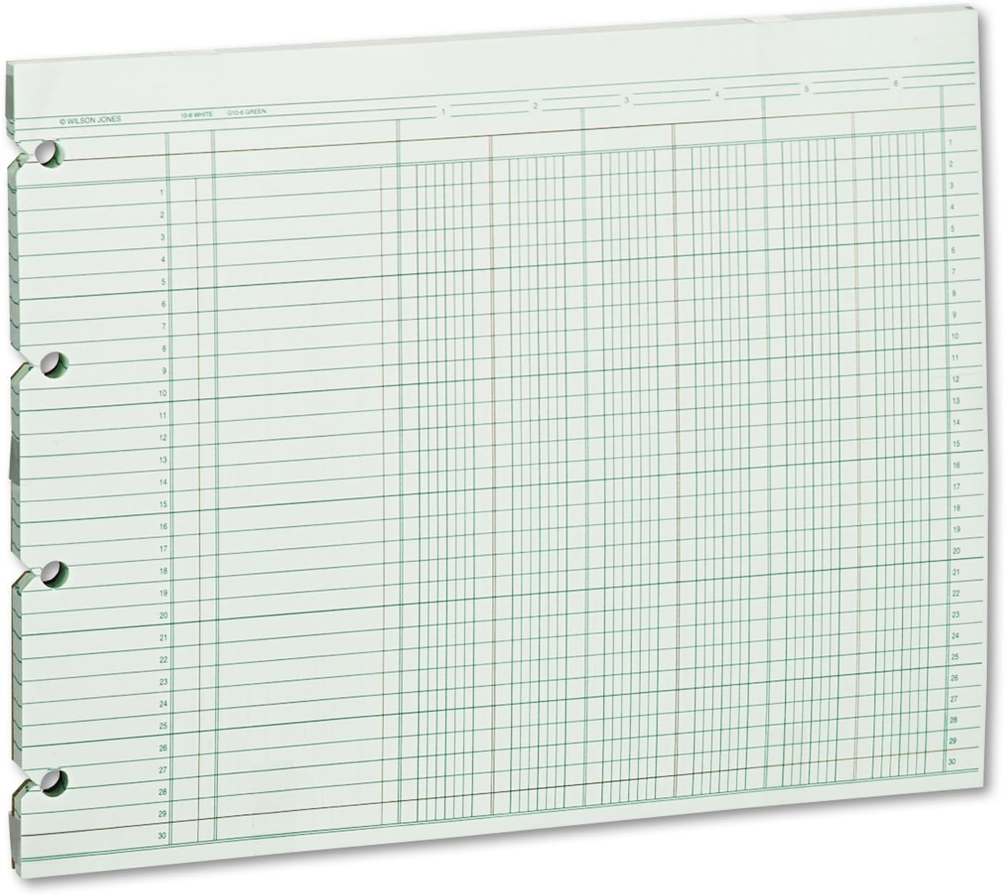 Amazon.com : Wilson Jones G1020 Accounting Sheets, 20 Column, 9-1/4 x 11-7/8, Green (Pack of 100 ...