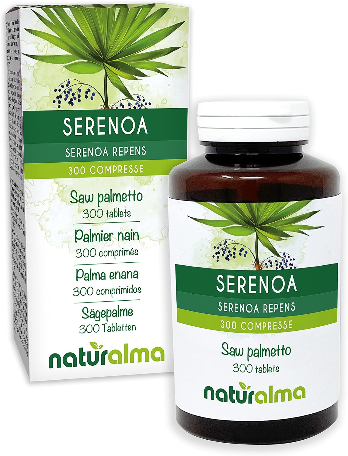Serenoa o Palma nana (Serenoa repens o Sabal serrulata) frutti ...