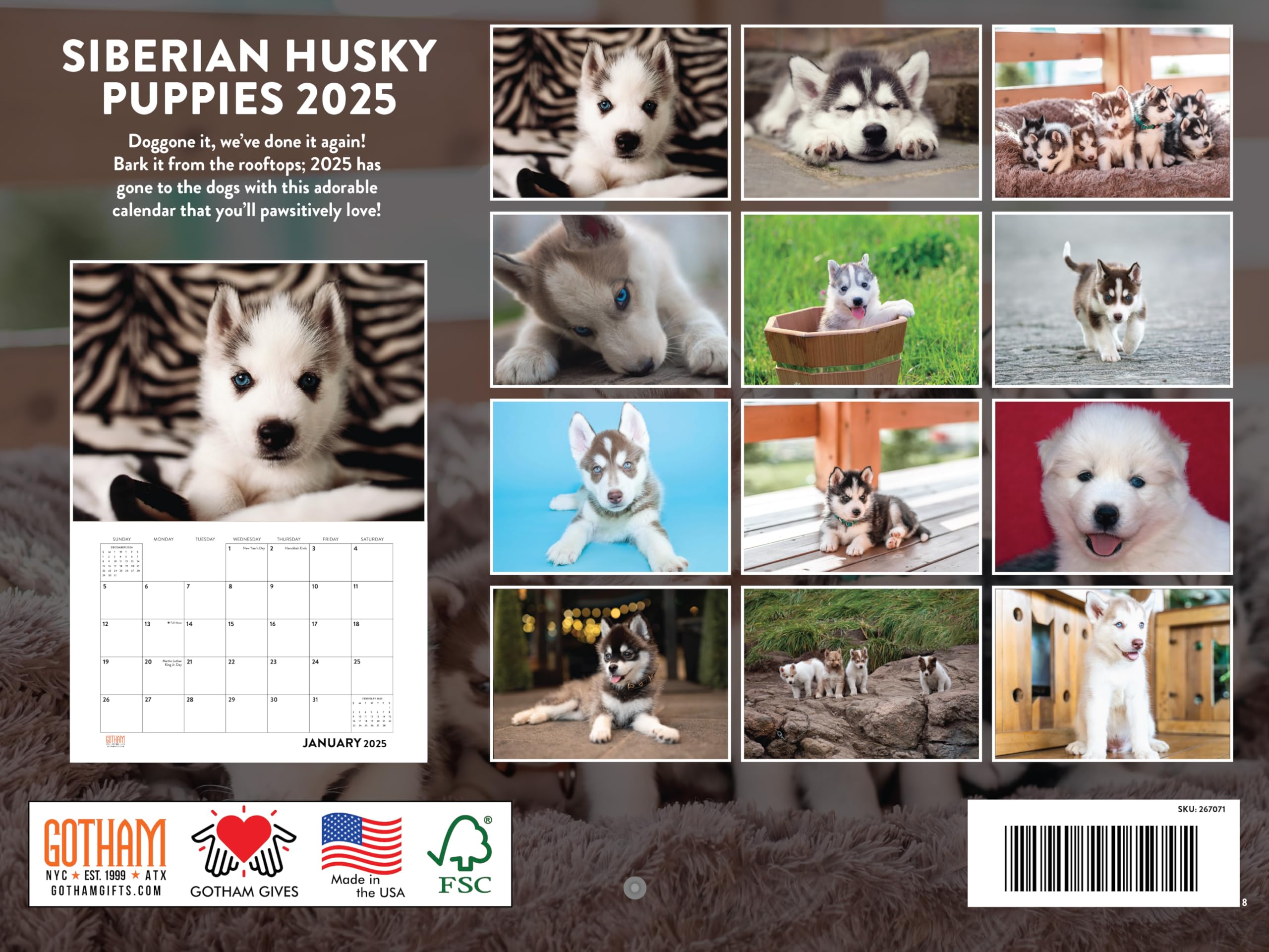 Snapklik.com : Siberian Husky Puppy Calendar 2027 Monthly Wall Calender ...