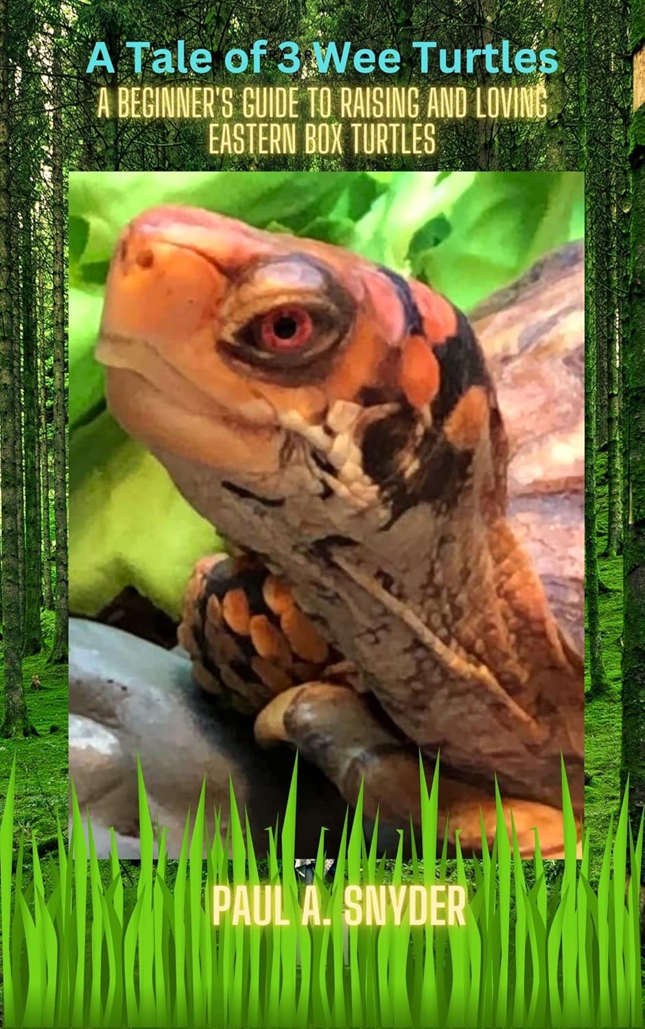 A Tale of 3 Wee Turtles: A Beginner's Guide to Raising and Loving ...