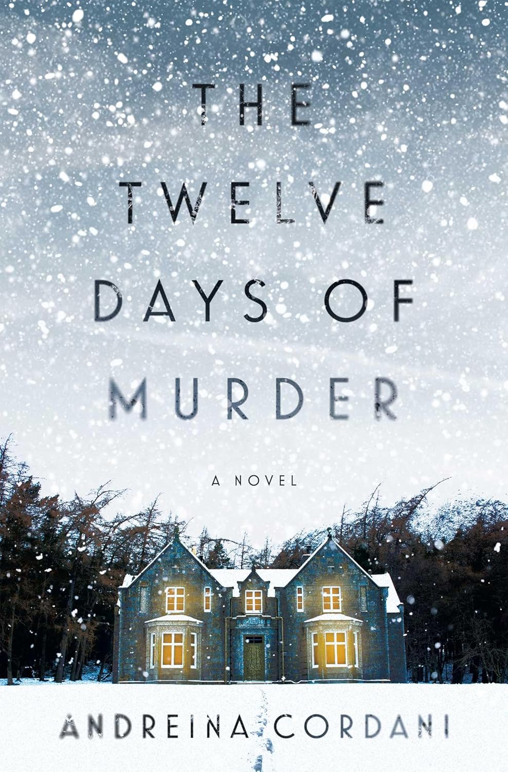 Amazon.com: The Twelve Days of Murder: A Novel: 9781639366187: Cordani ...