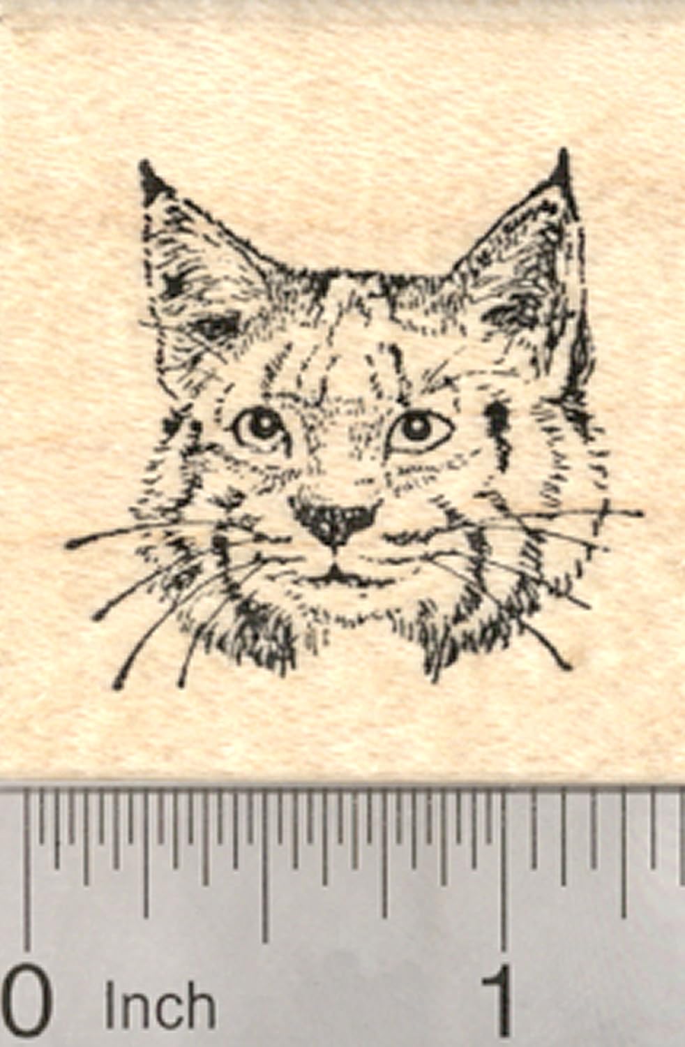 Amazon.com: Bobcat Face Rubber Stamp, Small, North American Wildlife ...