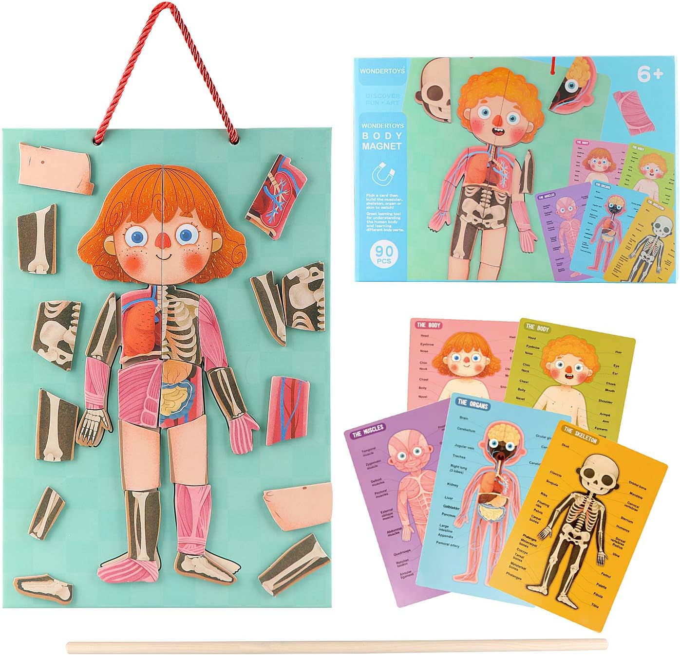 Wondertoys Wooden Human Body Puzzle for Kids - 90 Piece Magnetic Puzzle ...