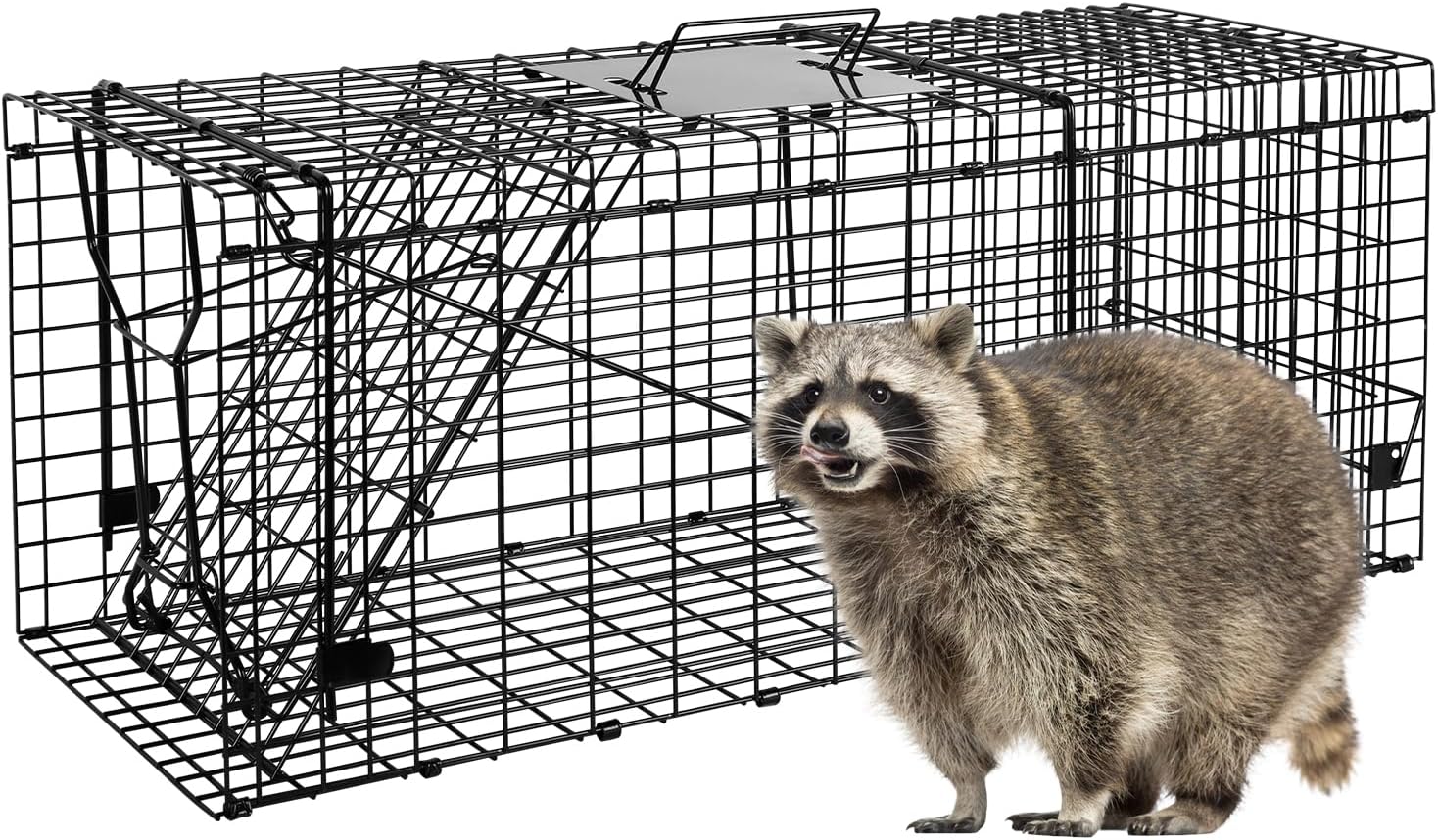 Amazon.com : Tomahawk Model DT2 - XL 4' Drop Trap Designed by ...