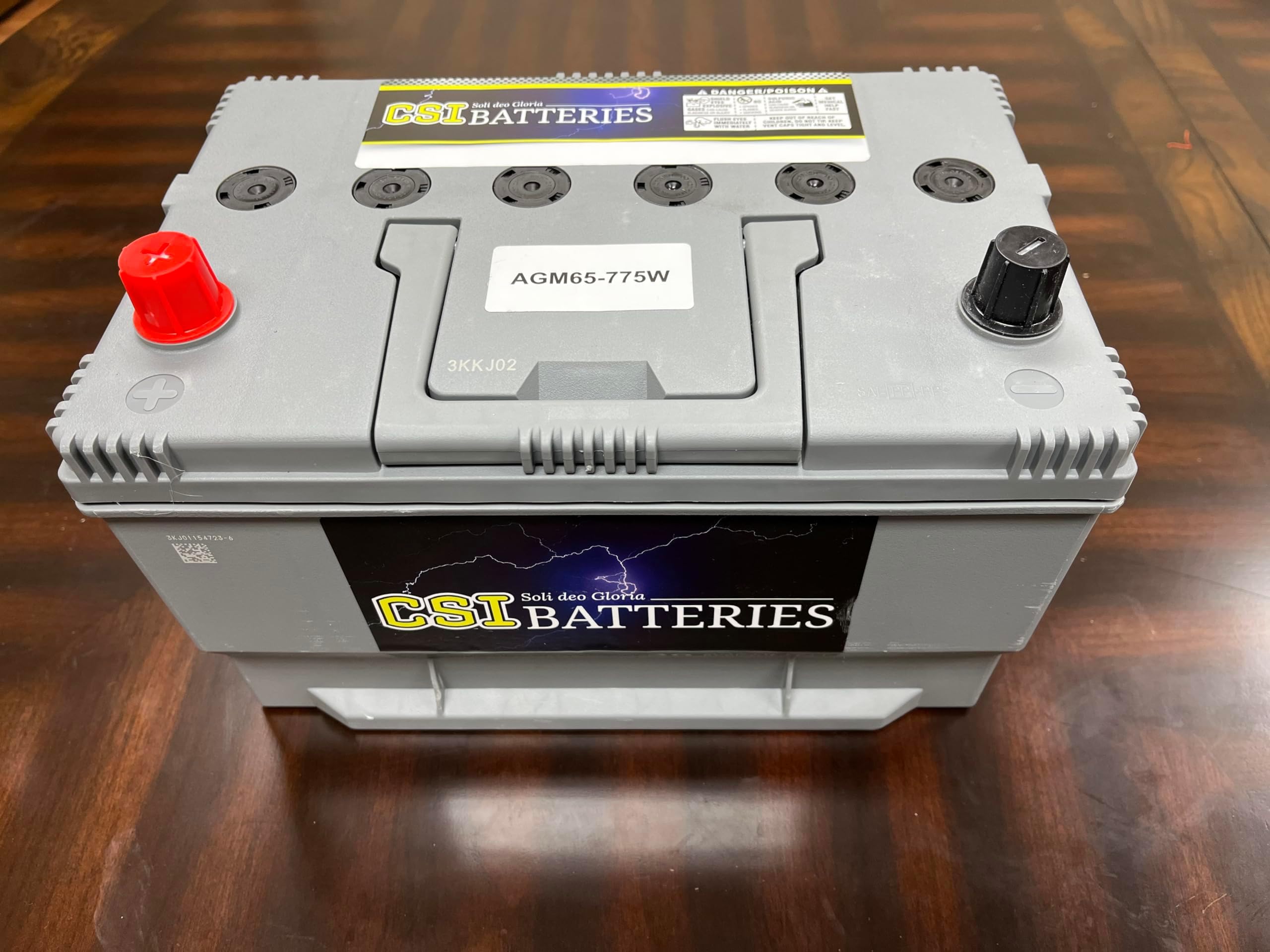 Amazon.com: Generic CSI Group 65 AGM Battery : Automotive