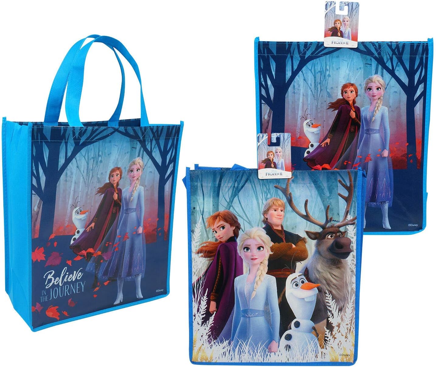 Amazon.com: Disney Frozen Movie Character Tote Bags (Elsa and Anna ...