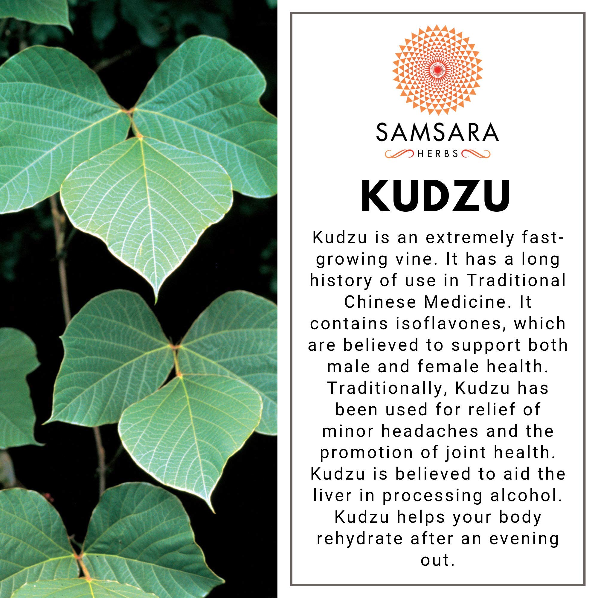 Kudzu Plant Leaf