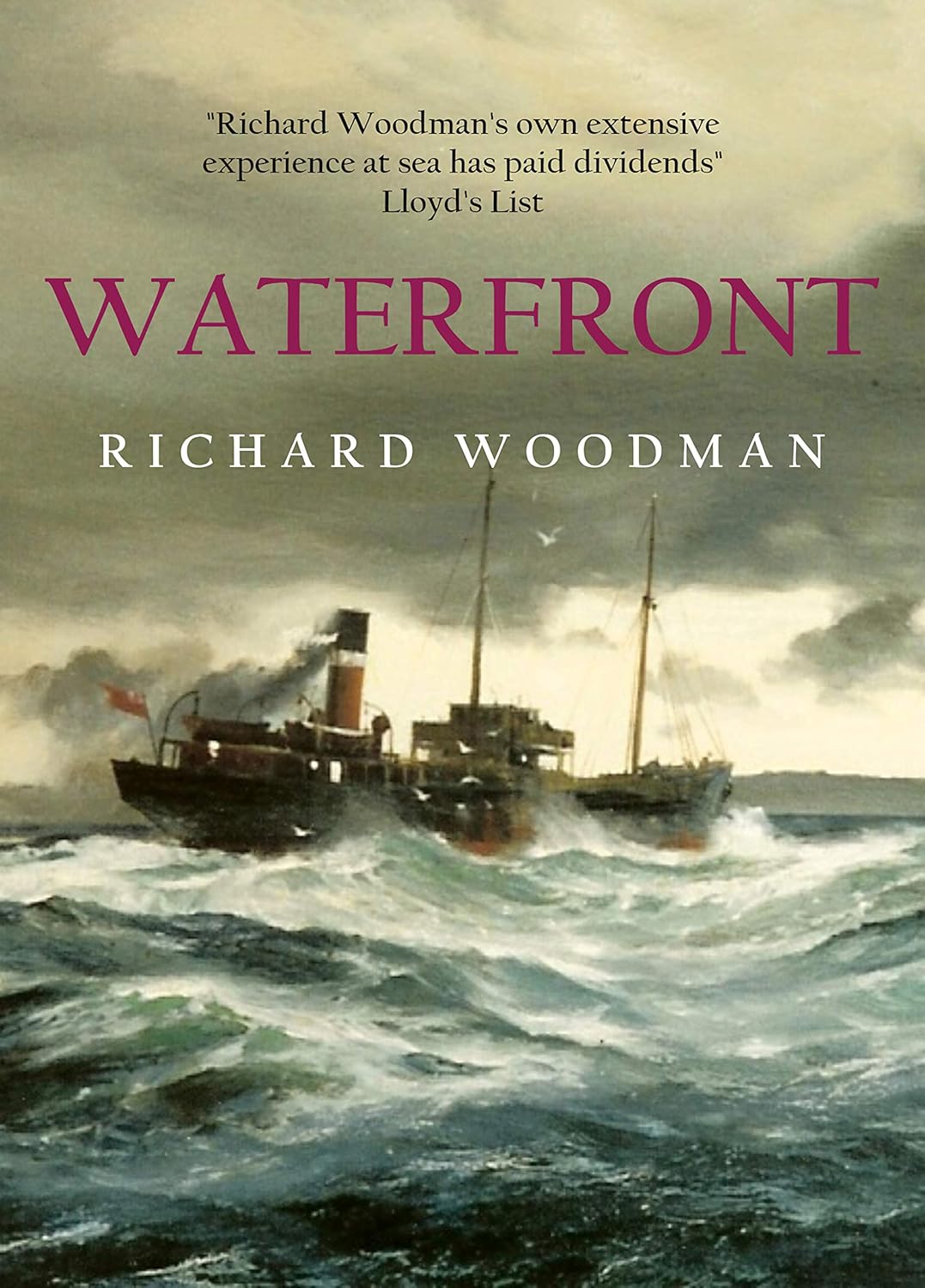 Waterfront: A romantic adventure on the seven seas (James Dunbar Series ...