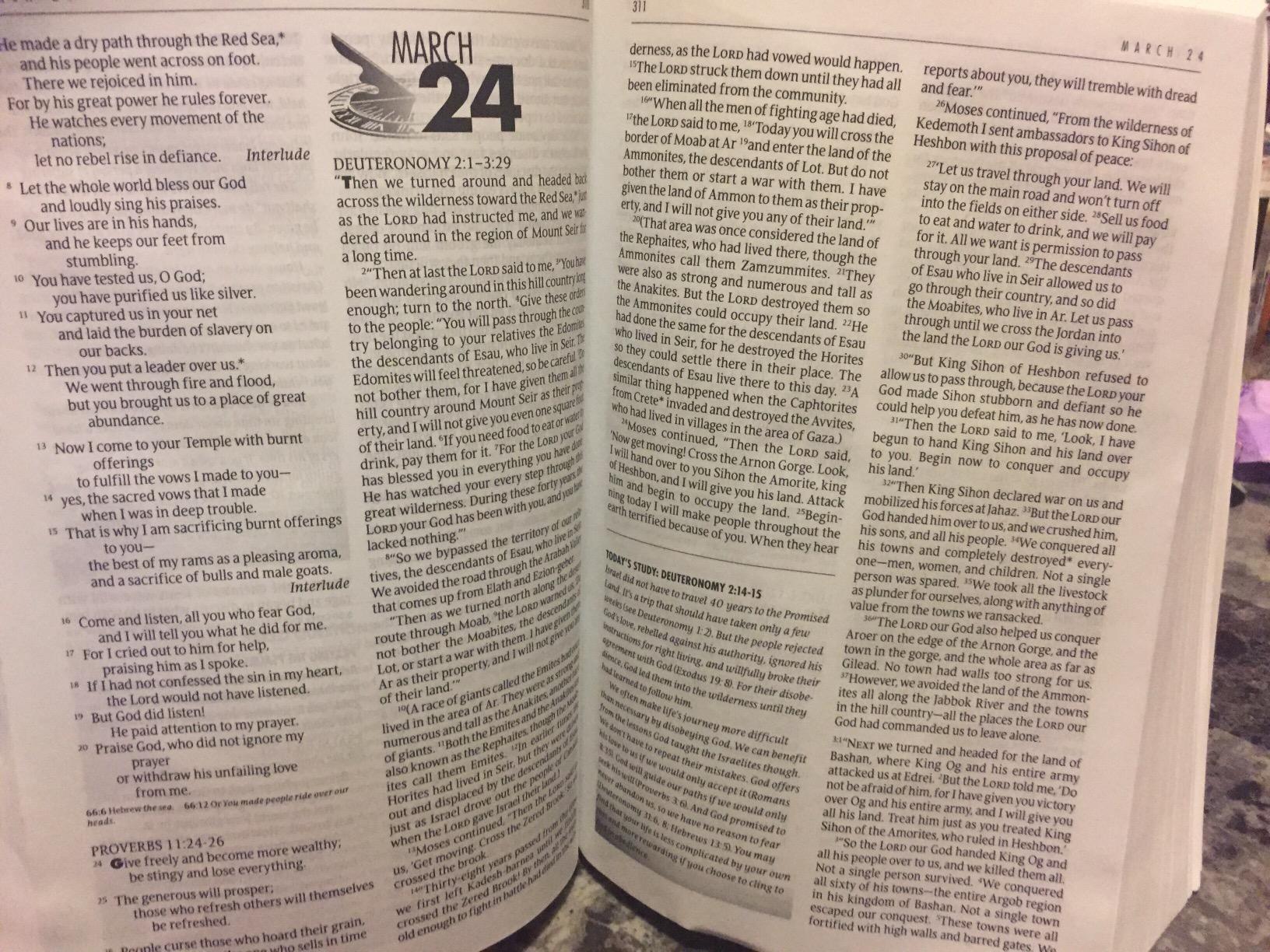 The One Year Study Bible NLT: Tyndale: 9781414339221: Amazon.com: Books