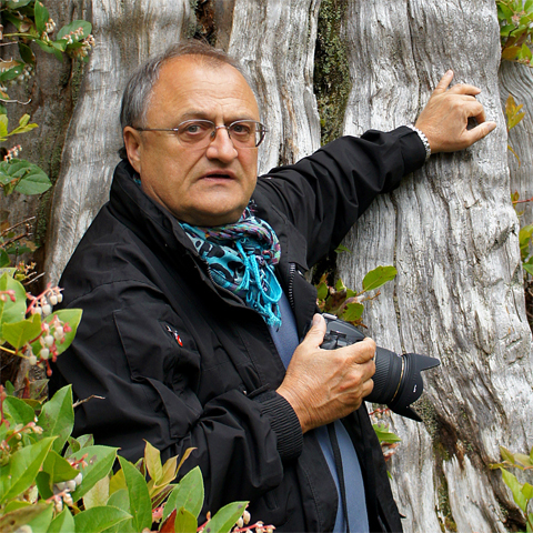 Amazon.de: Michael Weisser: Bücher, Biographie, neuestes Aktualisierung
