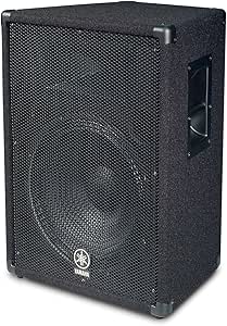Yamaha BR12 12-Inch 2-Way Loudspeaker System : Amazon.fr: Instruments de musique et Sono