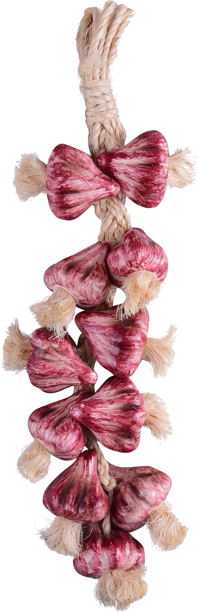 Amazon.com: Small RISTRA String of Garlic : Home & Kitchen