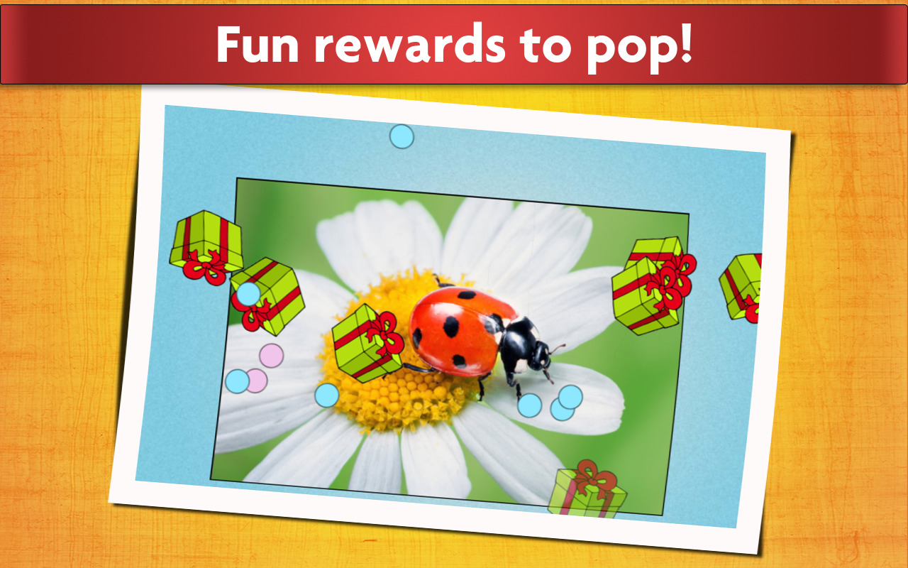 Insects and Bugs Puzzles for Kids - Fun and Educational HD Jigsaw ...
