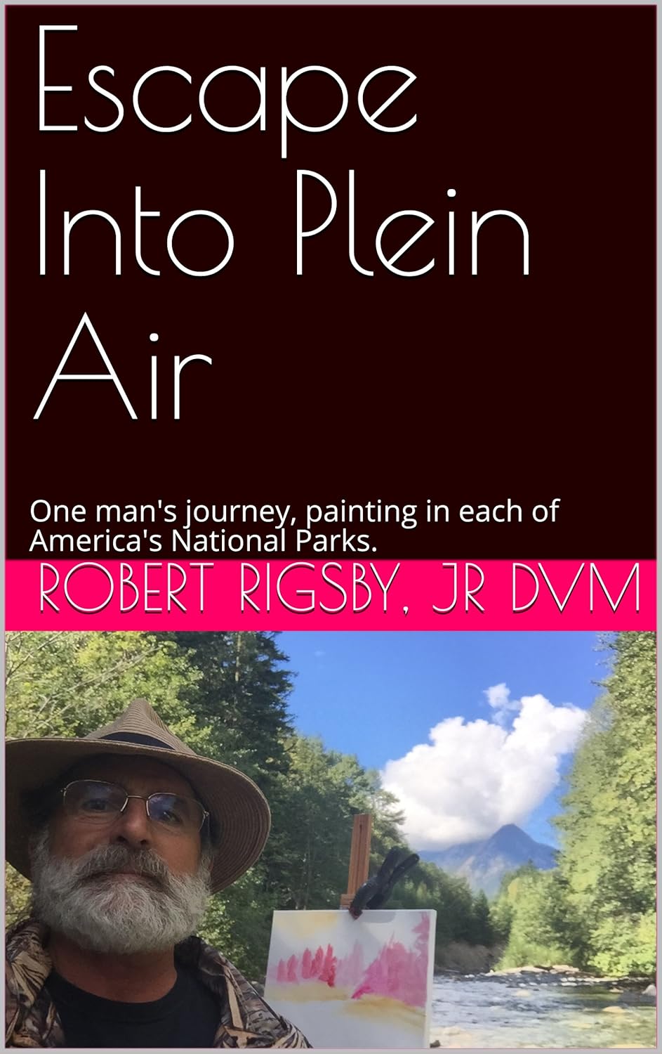 Amazon.com: Escape Into Plein Air: One man's journey, painting in each ...