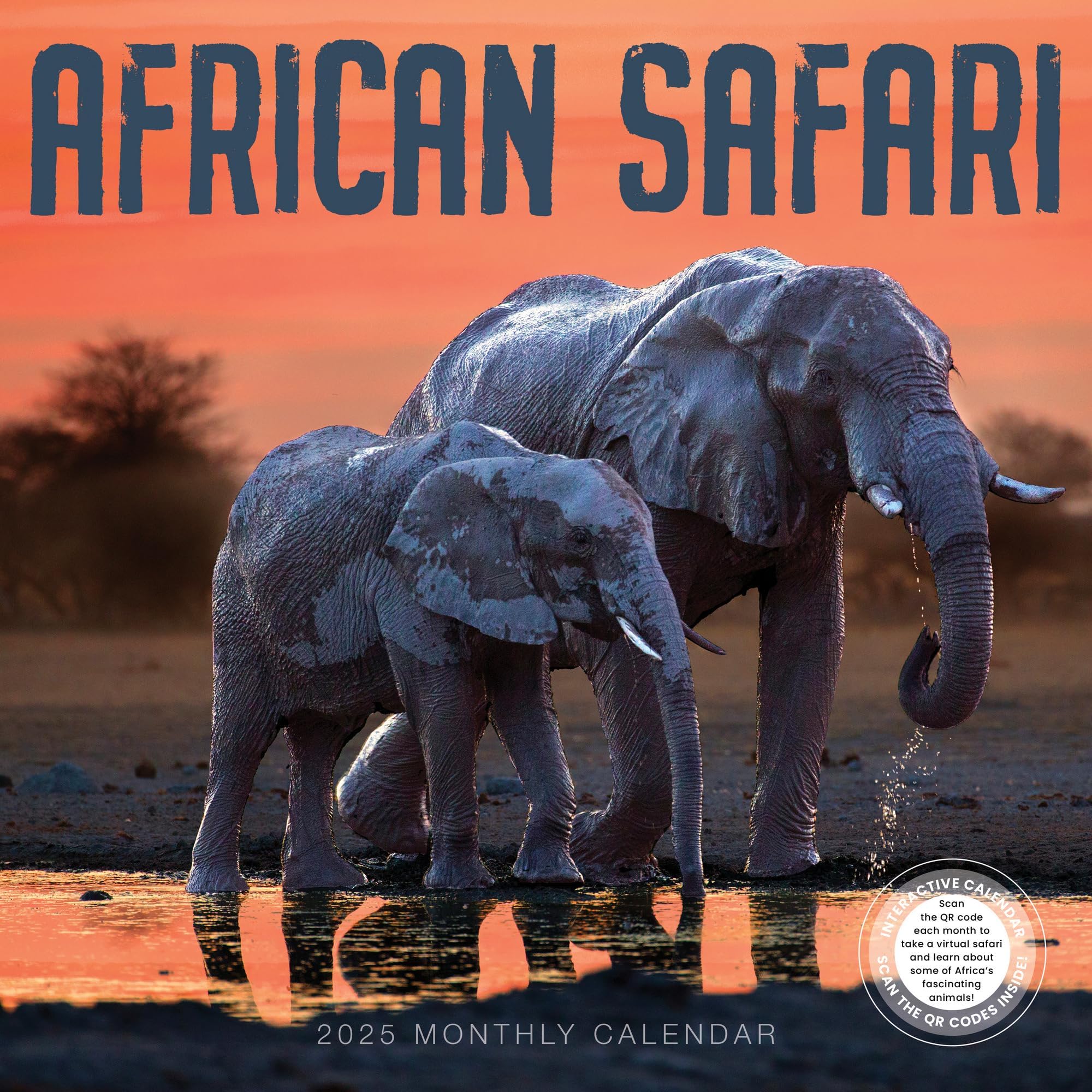 Amazon.com: African Safari Calendar 2025 | Africa 12" x 24" Animal Wall ...