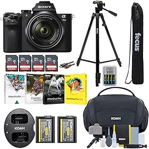Amazon.com : Sony Alpha a7II Mirrorless Digital Camera Bundle with 28-70mm f/3.5-5.6 Lens, Corel ...