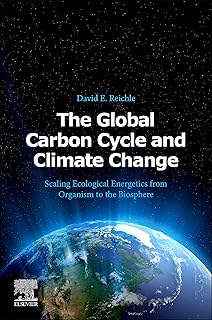 Energy Flow In Ecosystems: Understanding The Journey | QuartzMountain