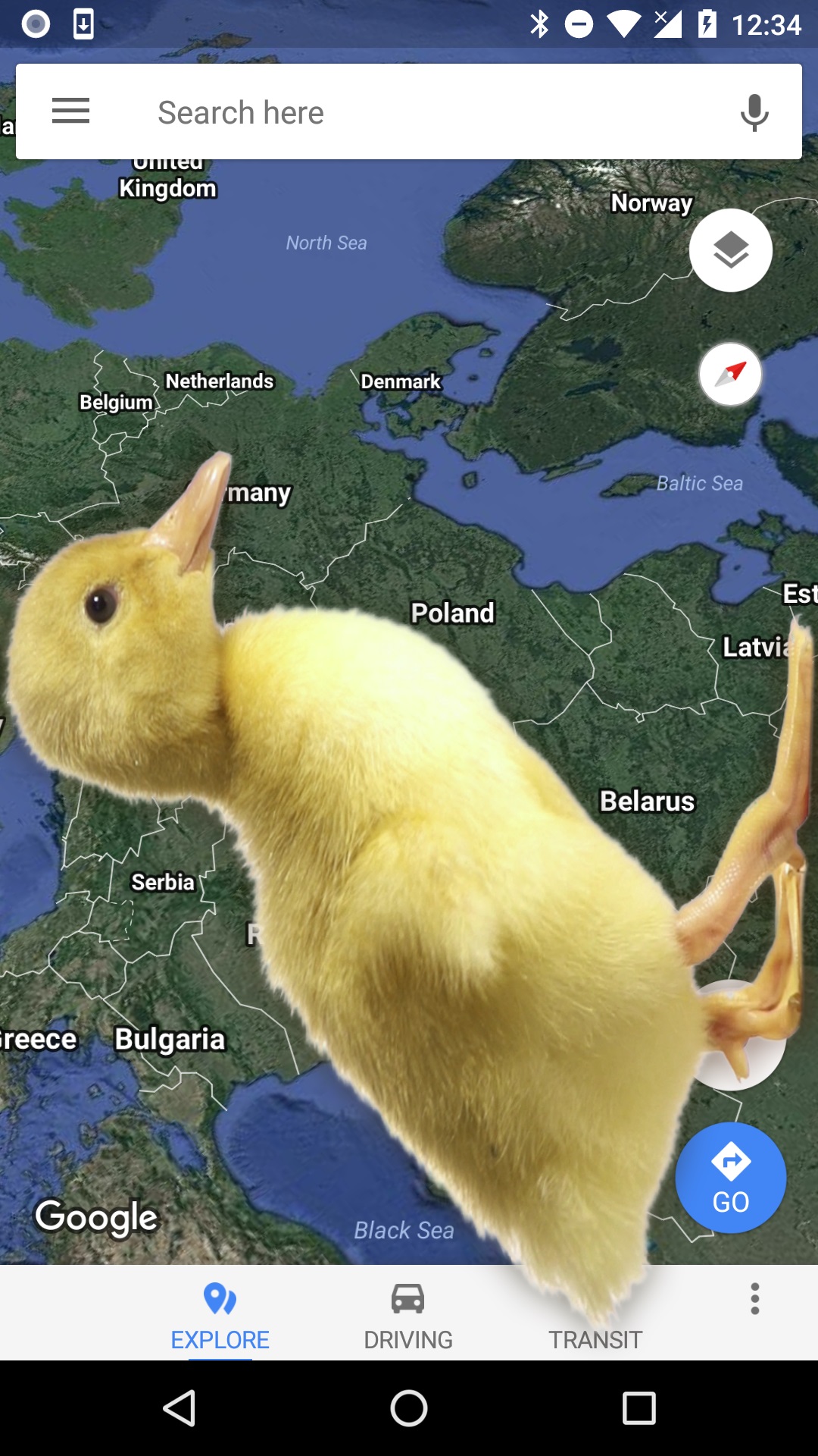 Duck in phone Quacking joke - App on Amazon Appstore