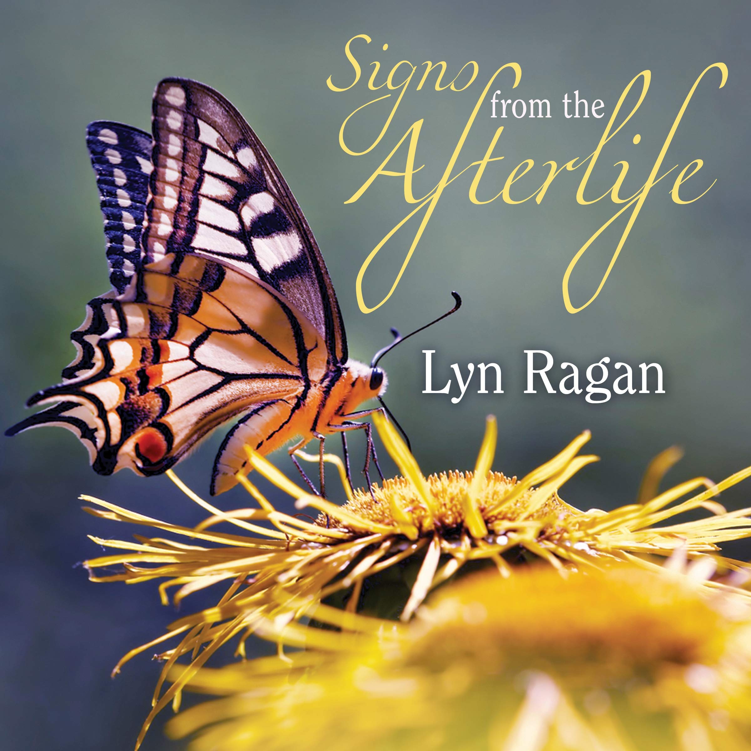 Signs From the Afterlife: Lyn Ragan: 9781665292719: Amazon.com: Books