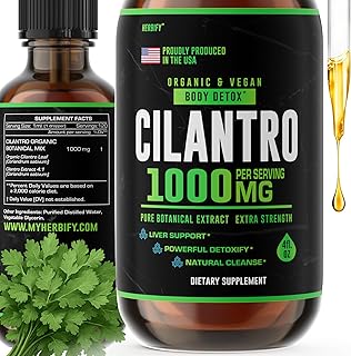 The Fascinating Origin Of Cilantro: A Herb With A Rich History | ShunCy