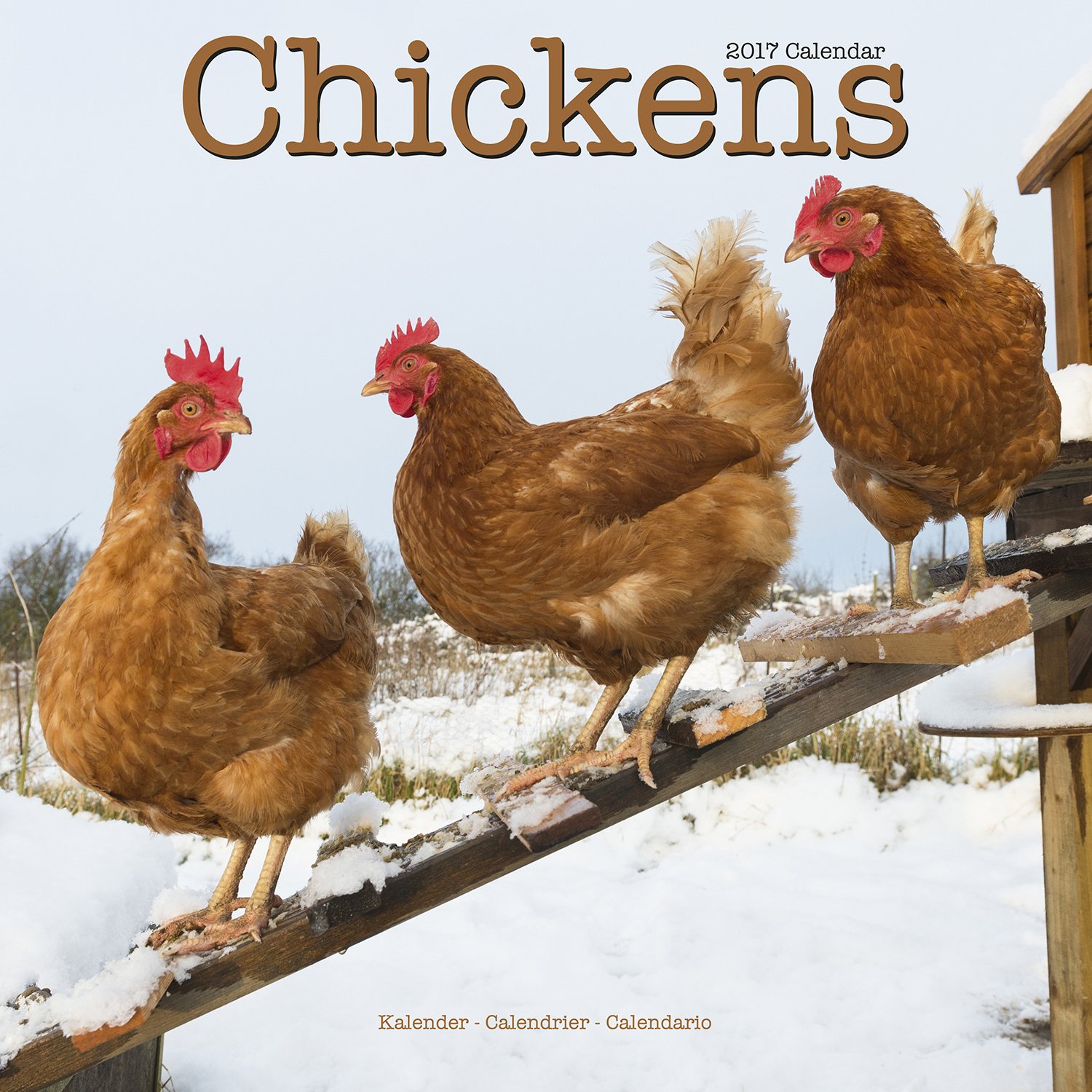 Chickens Calendar - Calendars 2016 - 2017 Wall Calendars - Animal ...