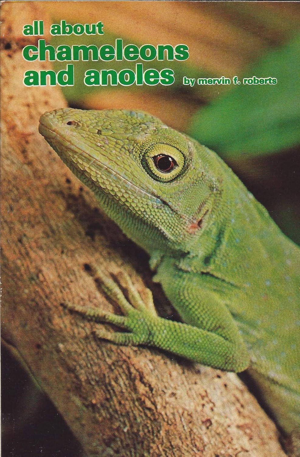 All About Chameleons and Anoles: Mervin F Roberts: 9780876669020 ...