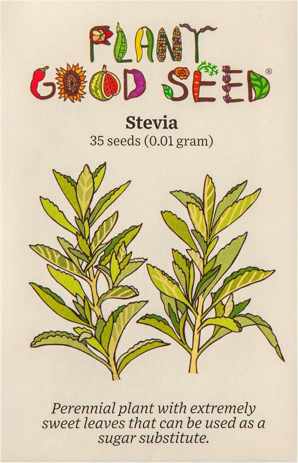 Amazon.com: Plant Good Seed Semillas de Stevia orgánicas para plantar ...