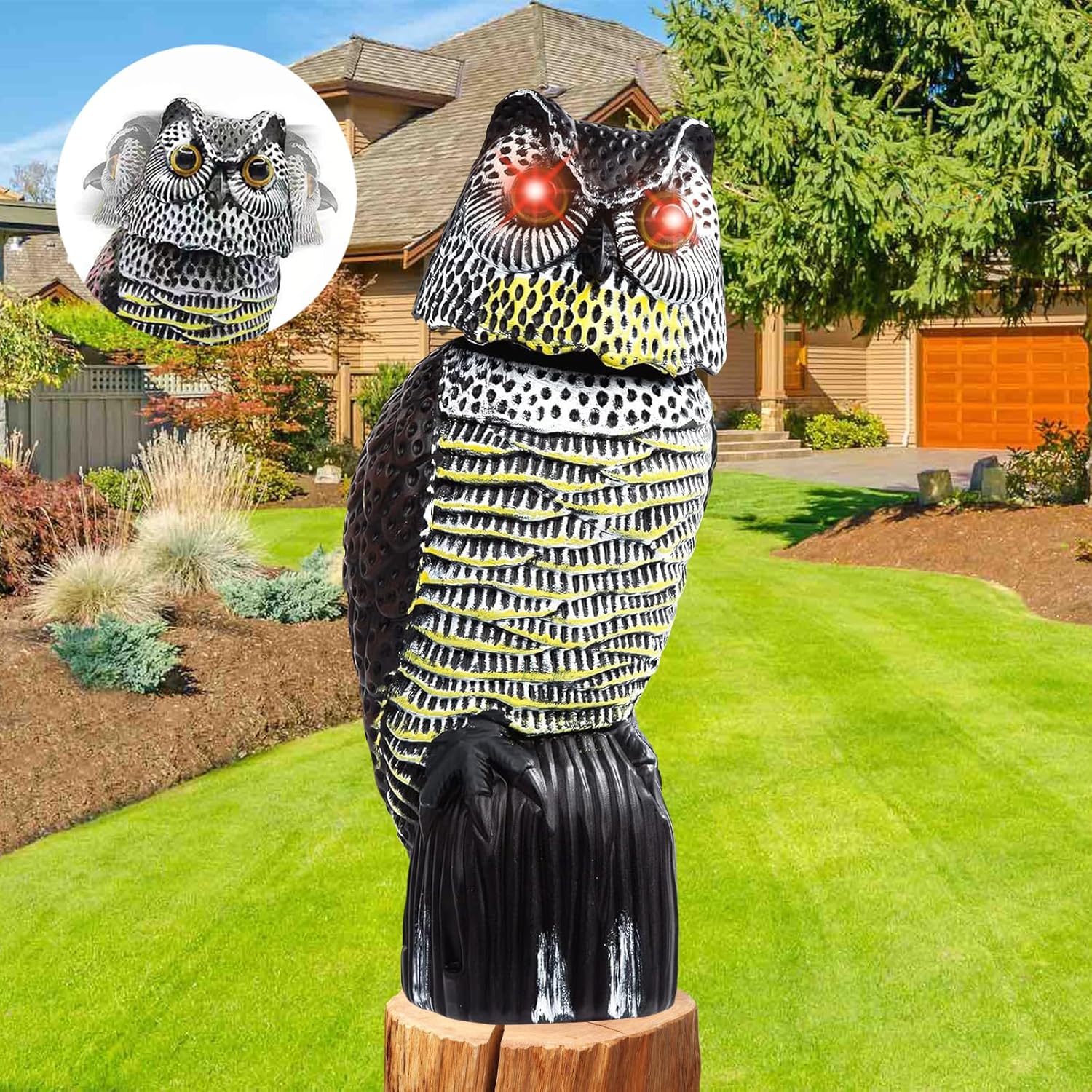 Amazon.com: SolisConvene Solar Owl with Flashing Eyes&Rotating Head,Owl ...