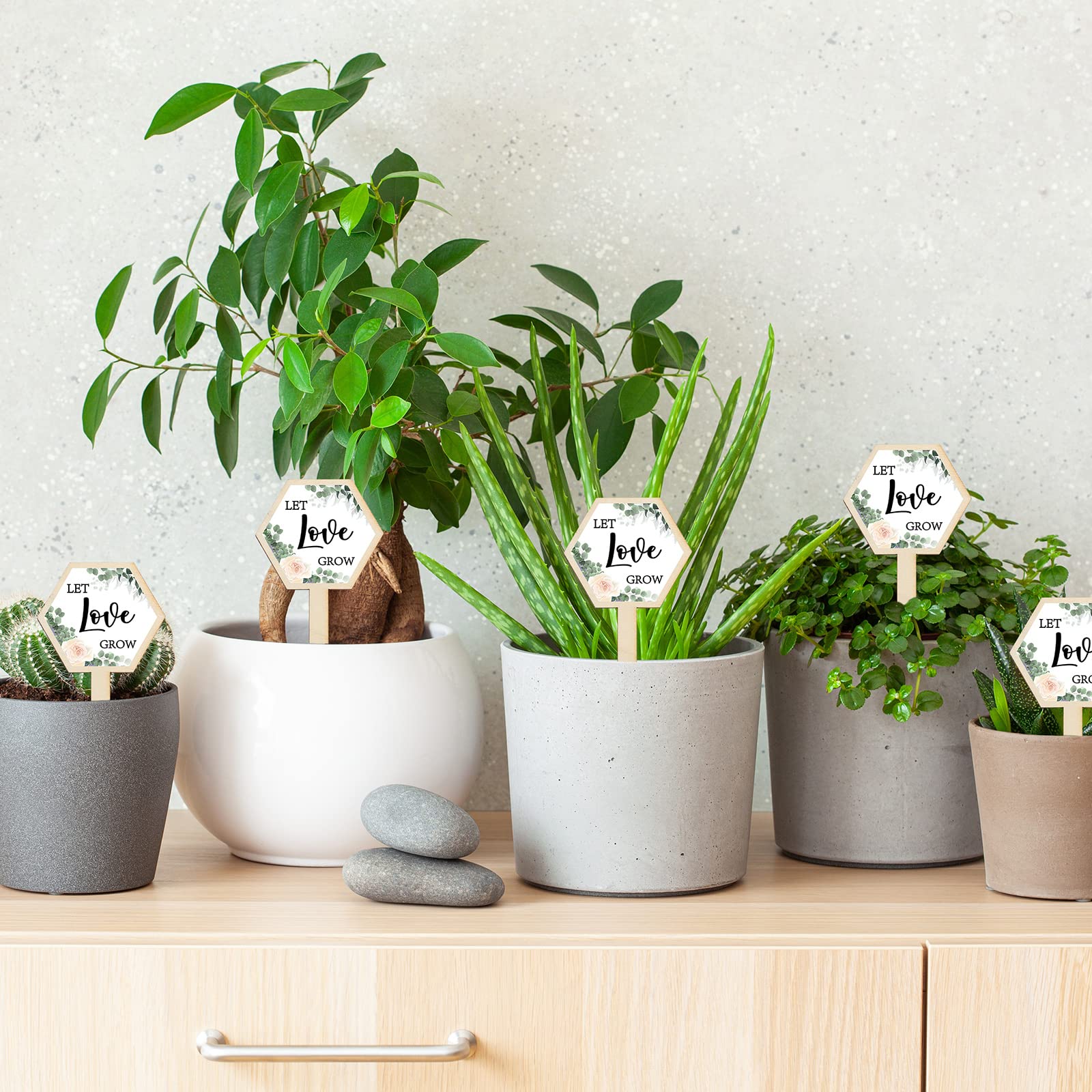 Snapklik.com : Weysat Succulent Tags 60pcs - Let Love Grow Wooden Plant ...