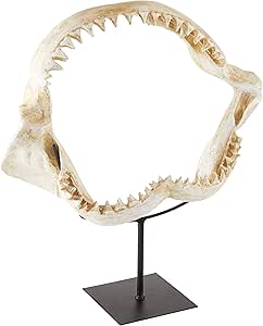 Amazon.com: Design Toscano Shark Jaws Jagged Teeth Statue on Display ...