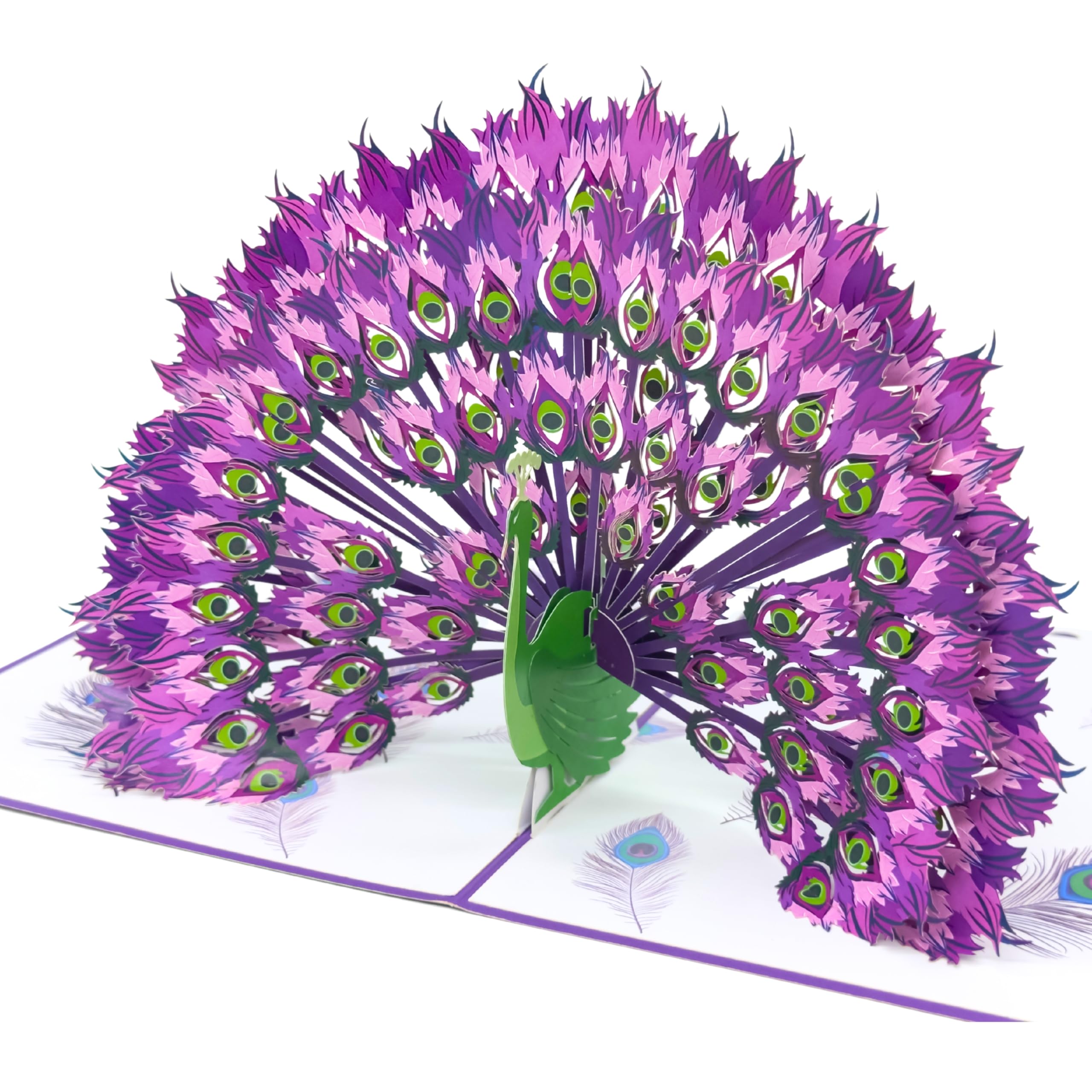 Programas De Pavo Real Para Bodas Construye Tu Paquete De