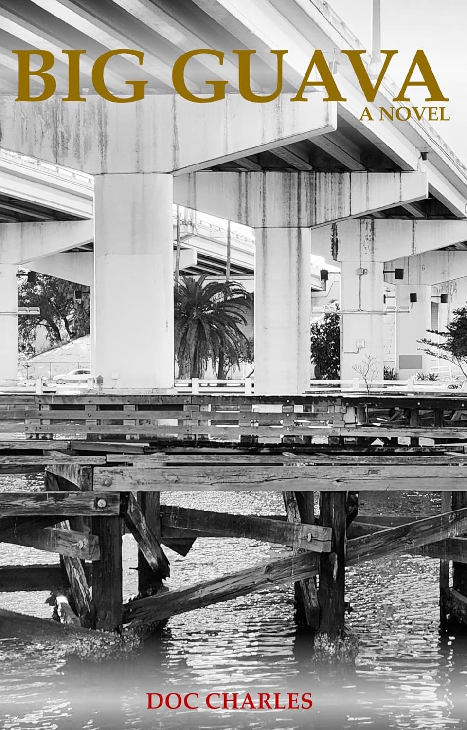 Big Guava - Kindle edition by Charles, Doc. Literature & Fiction Kindle ...