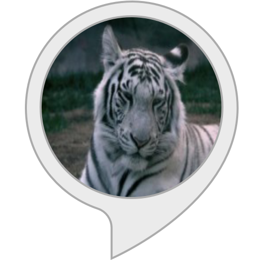 Amazon.in: Tiger Facts Teller : Alexa Skills