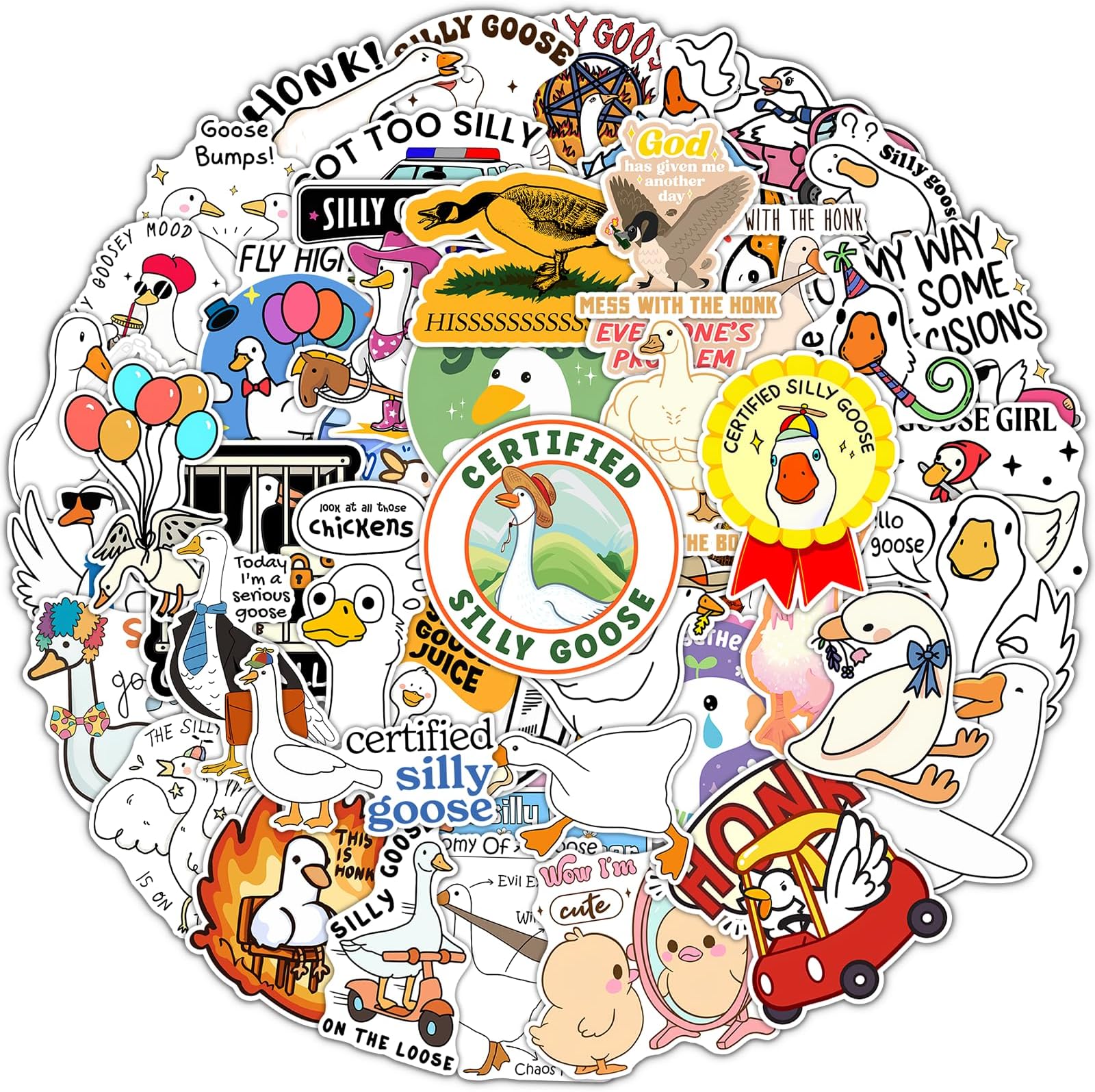 Amazon.com: Dinifee 2 Sheets 20 Pcs Silly Goose Stickers for Water ...