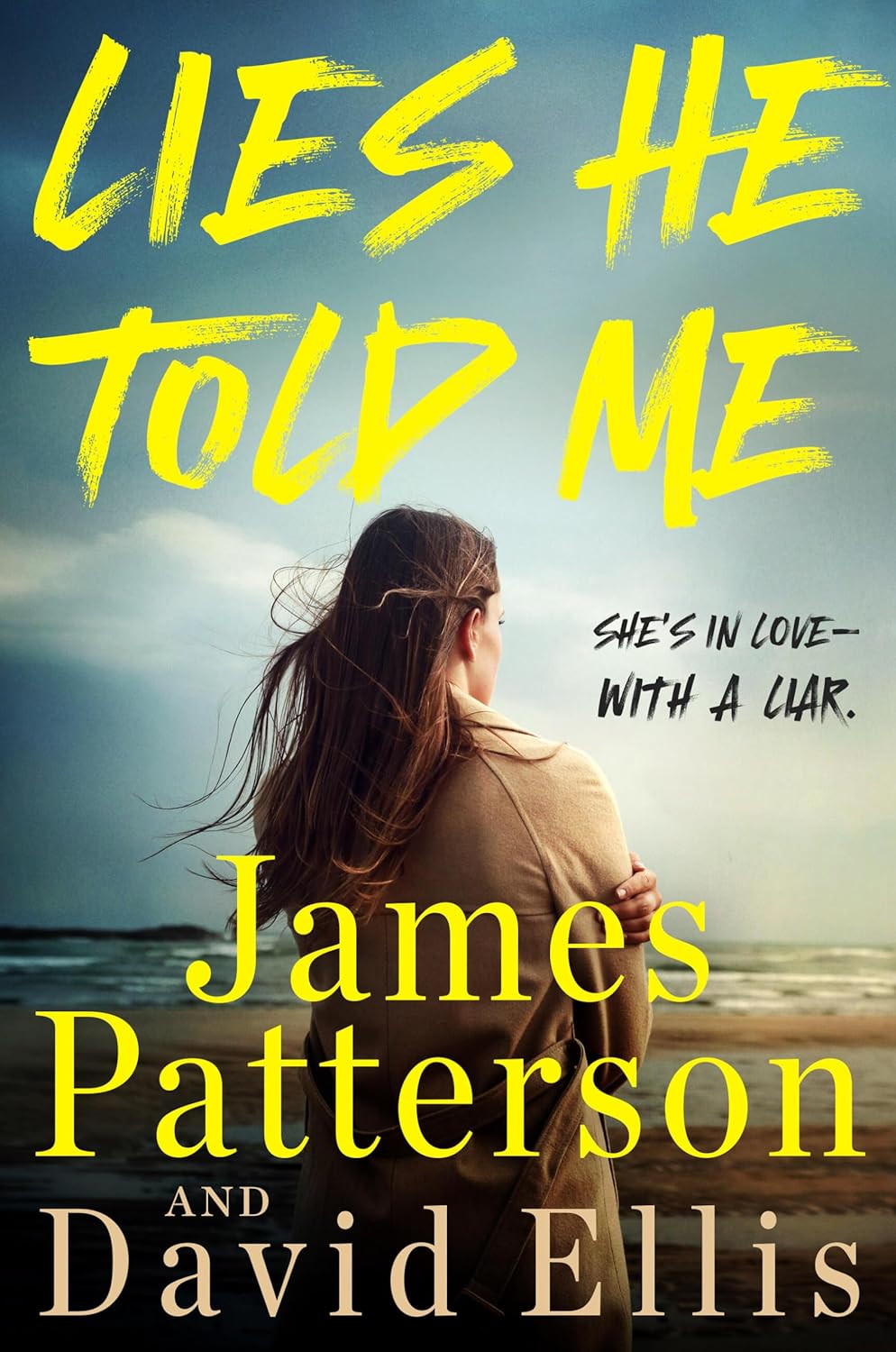 Amazon.com: Lies He Told Me: A Thriller: 9780316403894: Patterson ...