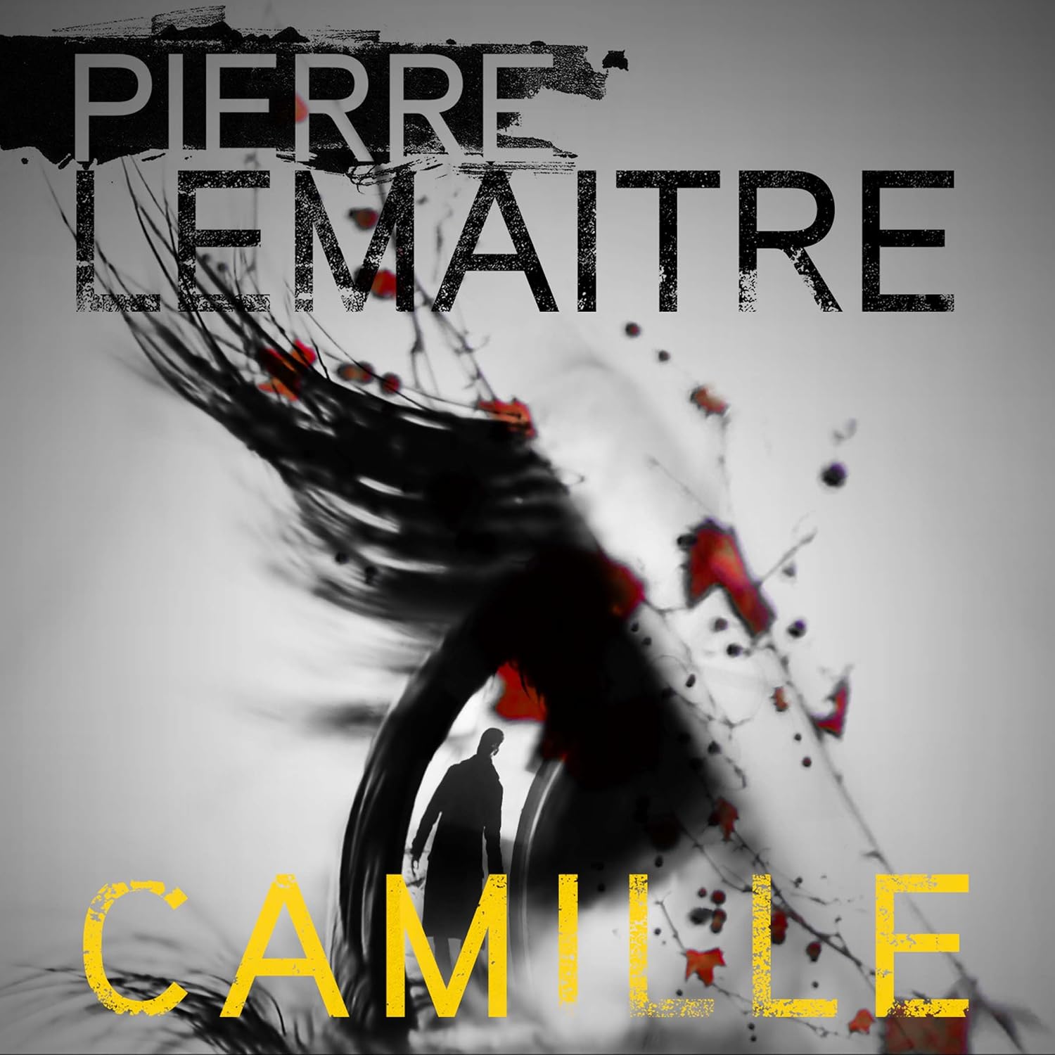 Camille: Camille Verhoeven, Book 3 (Edição em áudio): Pierre Lemaitre ...