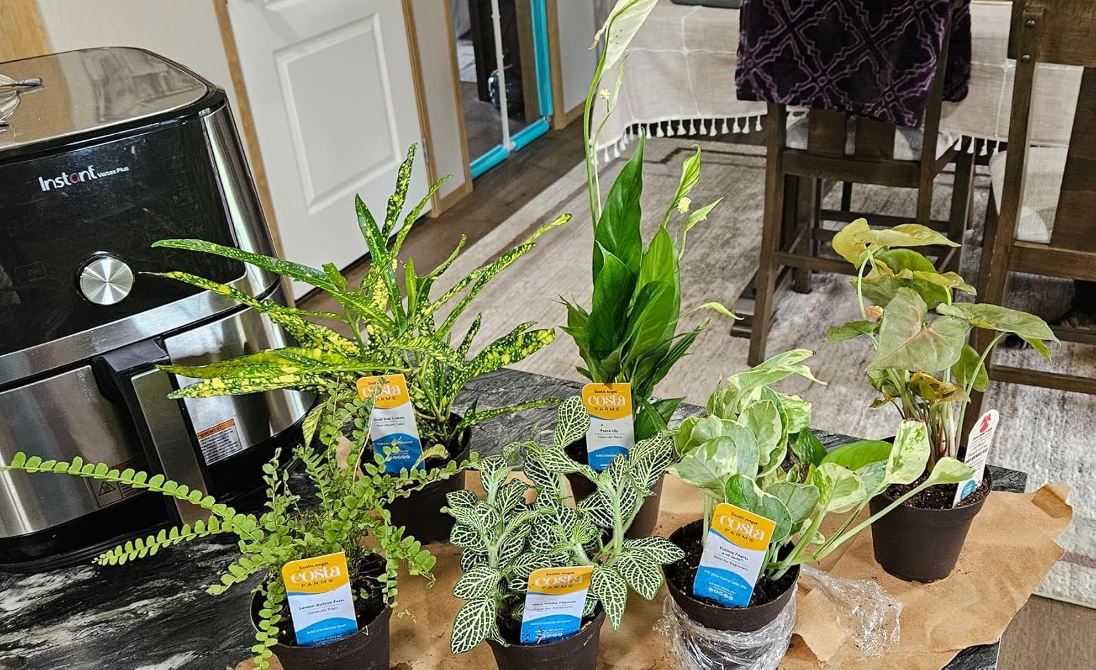 Beautiful Plants