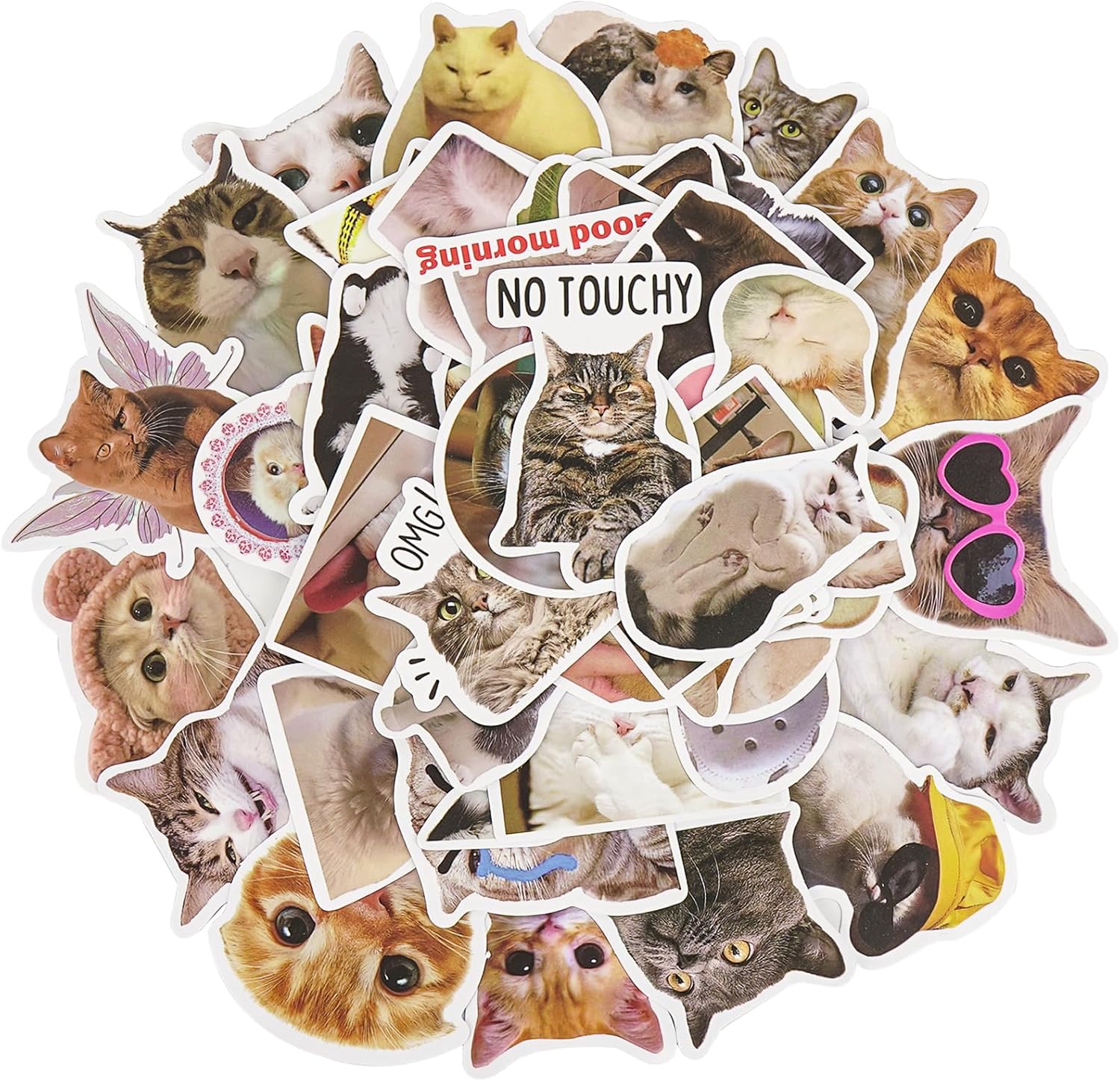 Amazon.com: TOCCOOL Cute Cat Stickers Pack, 50 PCS Funny Cat Meme ...