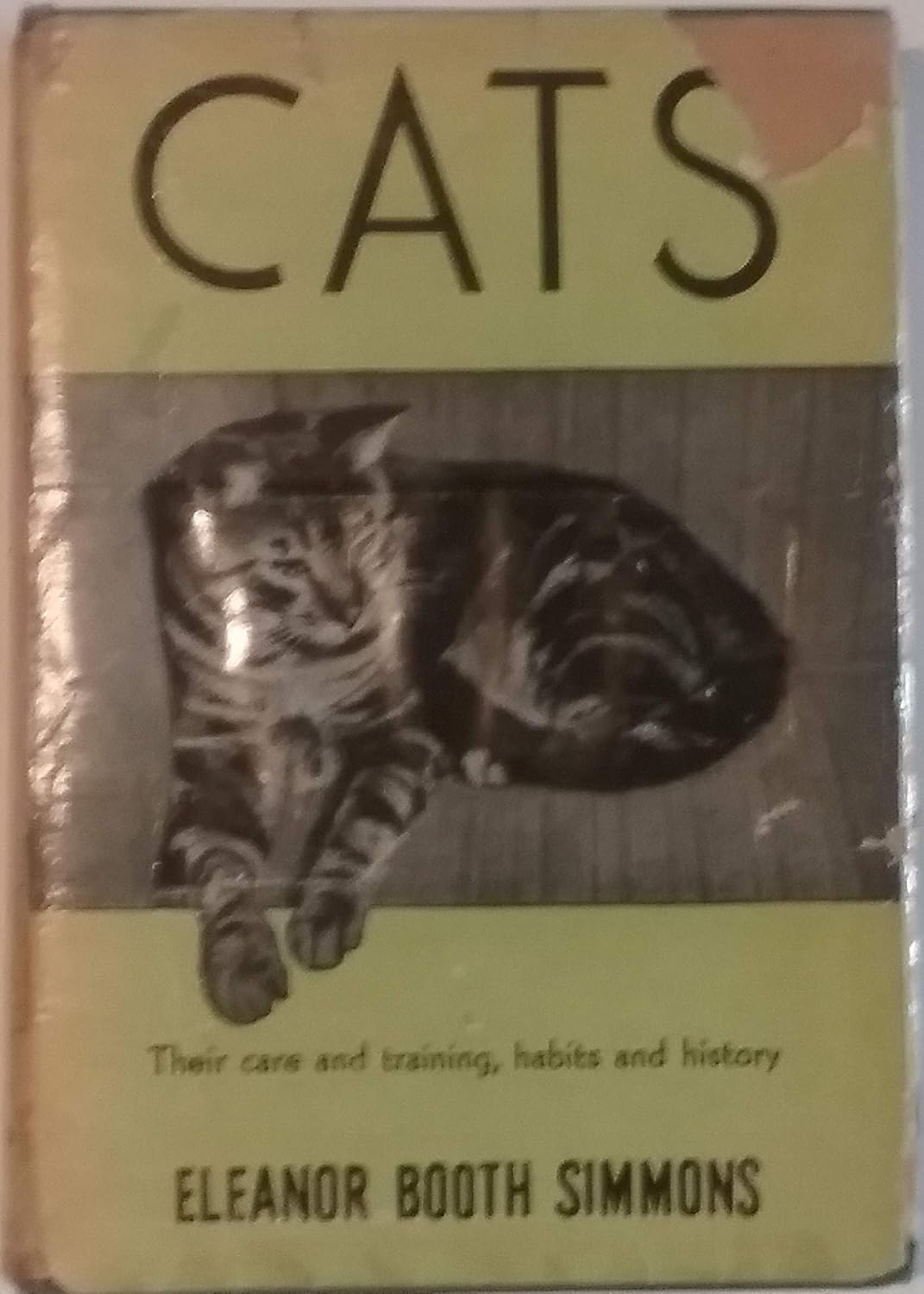 Cats: Eleanor Booth Simmons: Amazon.com: Books