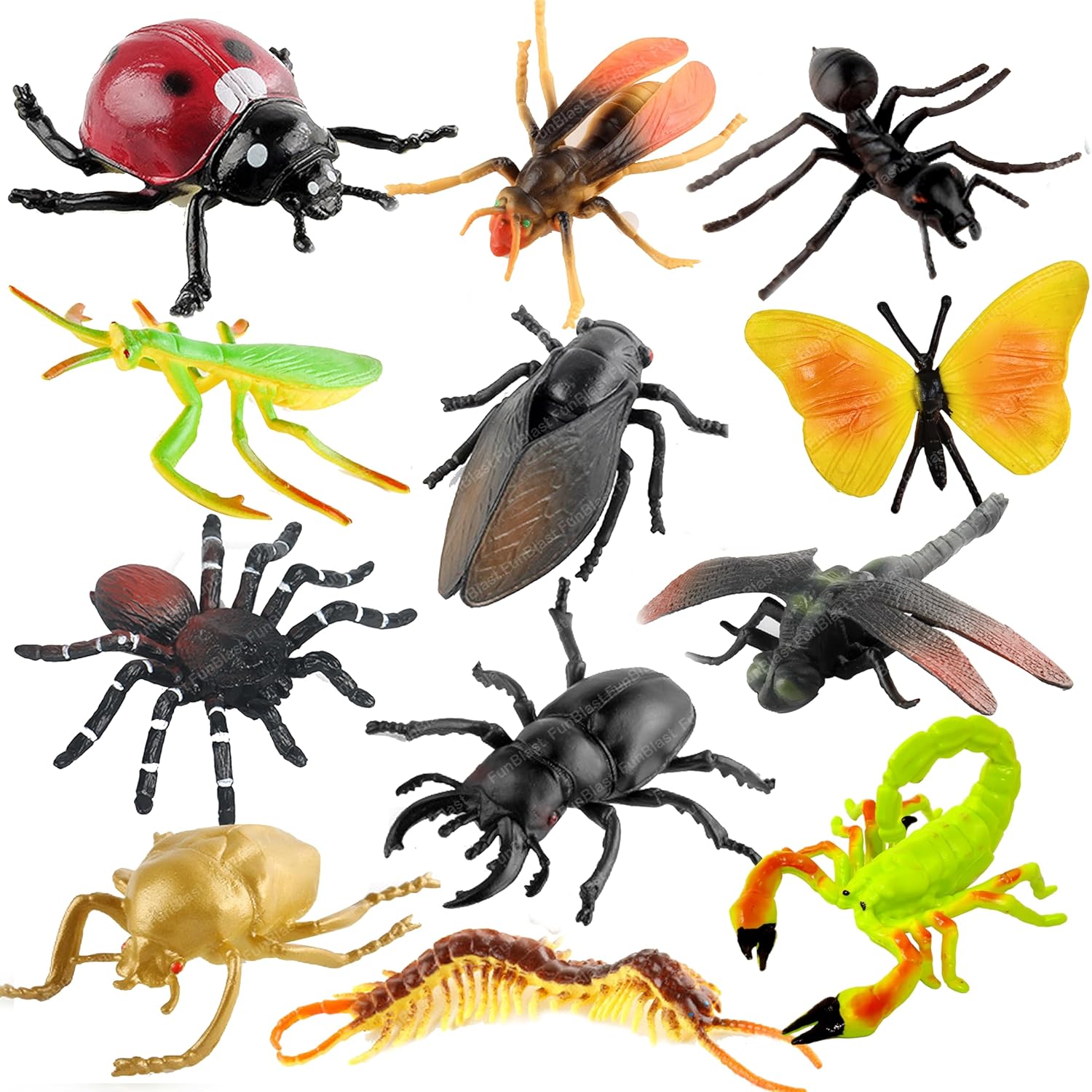 FunBlast Realistic Insect Toy for Kids -12 Pcs Big Size Animal Figure ...