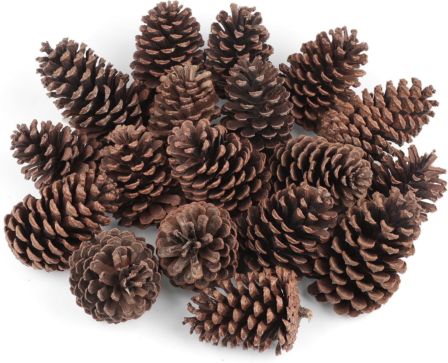 18PCS Large Natural Pine cones Christmas Natural Pine Cones Scented ...