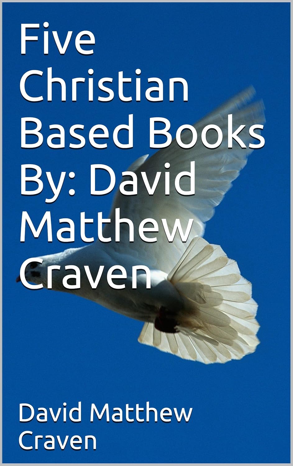 Amazon.co.jp: Five Christian Based Books By: David Matthew Craven ...