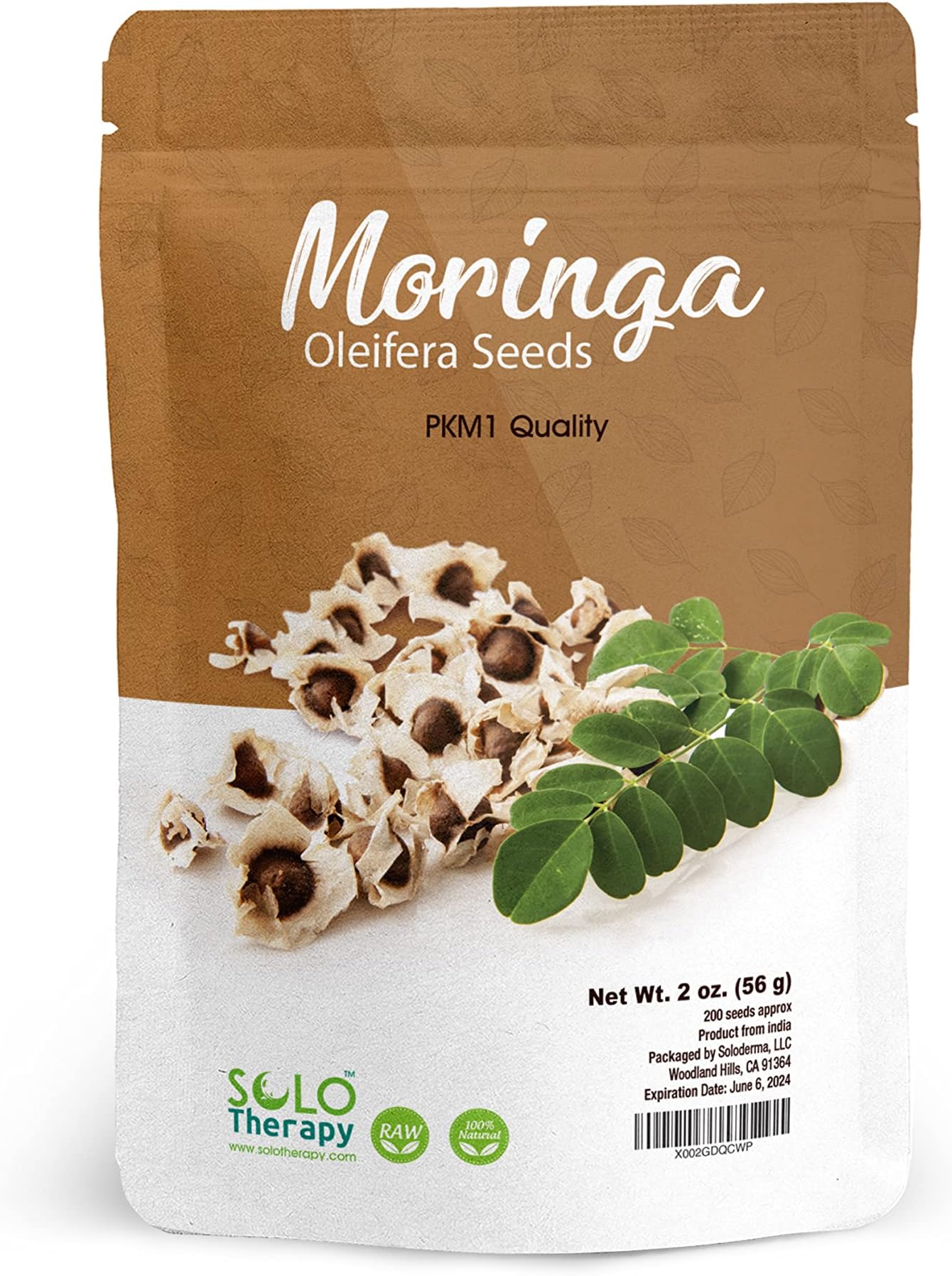Amazon.com : 4 Moringa Live Trees Plants, Malunggay Oleifera Moringa ...