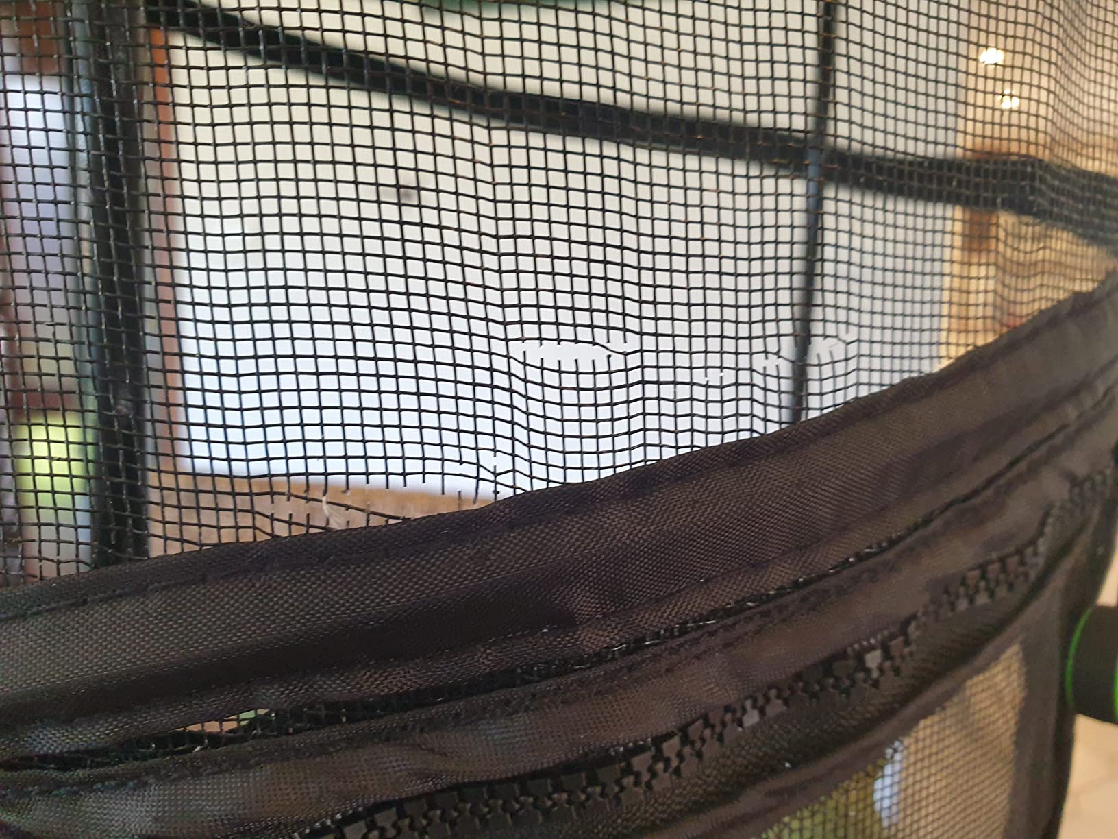 Insectimo Pod Enclosure : Amazon.com.au: Pet Supplies