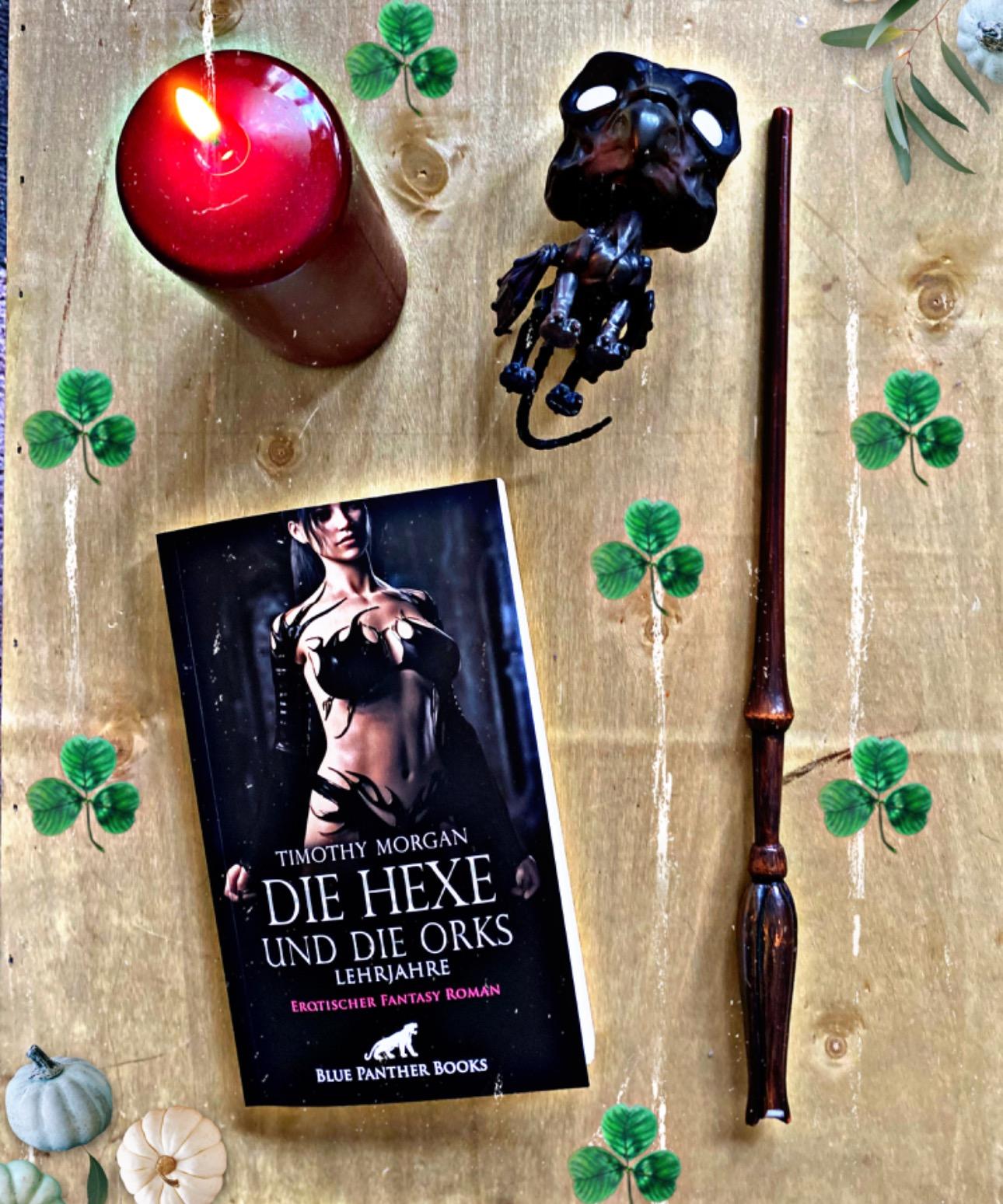 Die Hexe und die Orks - Lehrjahre: Erotisches Fantasy Hörbuch (Hörbuch-Download): Timothy Morgan ...