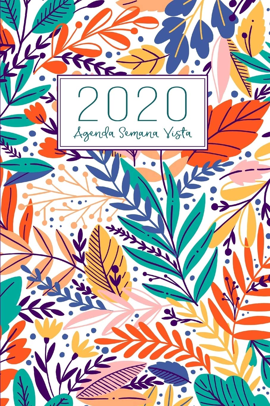 Agenda Semana Vista Diaria De 12 Meses Semanal Y Mensual | Desertcart ...